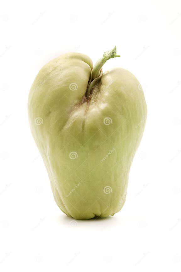 Chayote stock photo. Image of merleton, fruit, pipinola - 73296080