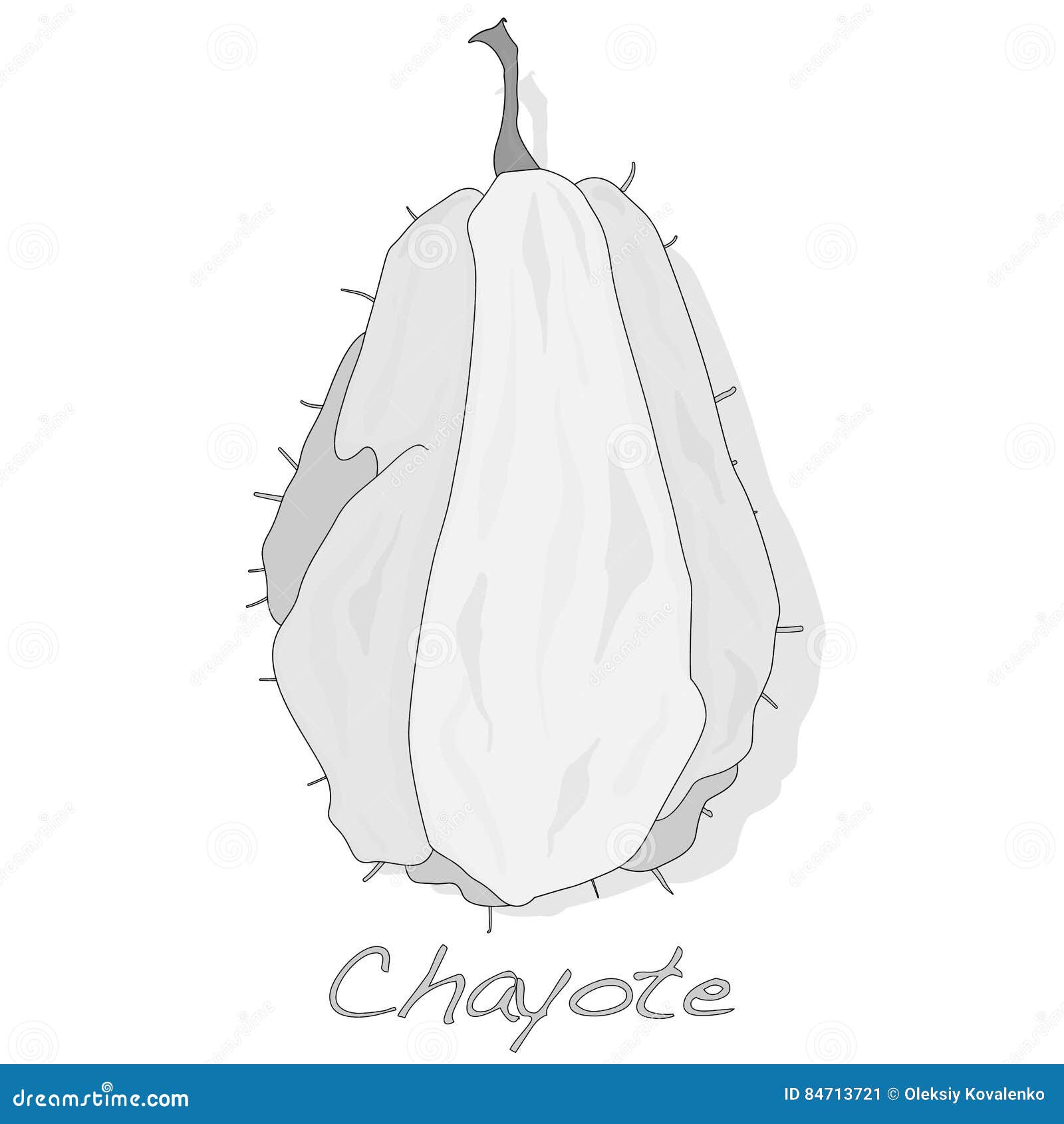 Chayote on White Background Stock Vector - Illustration of edule ...