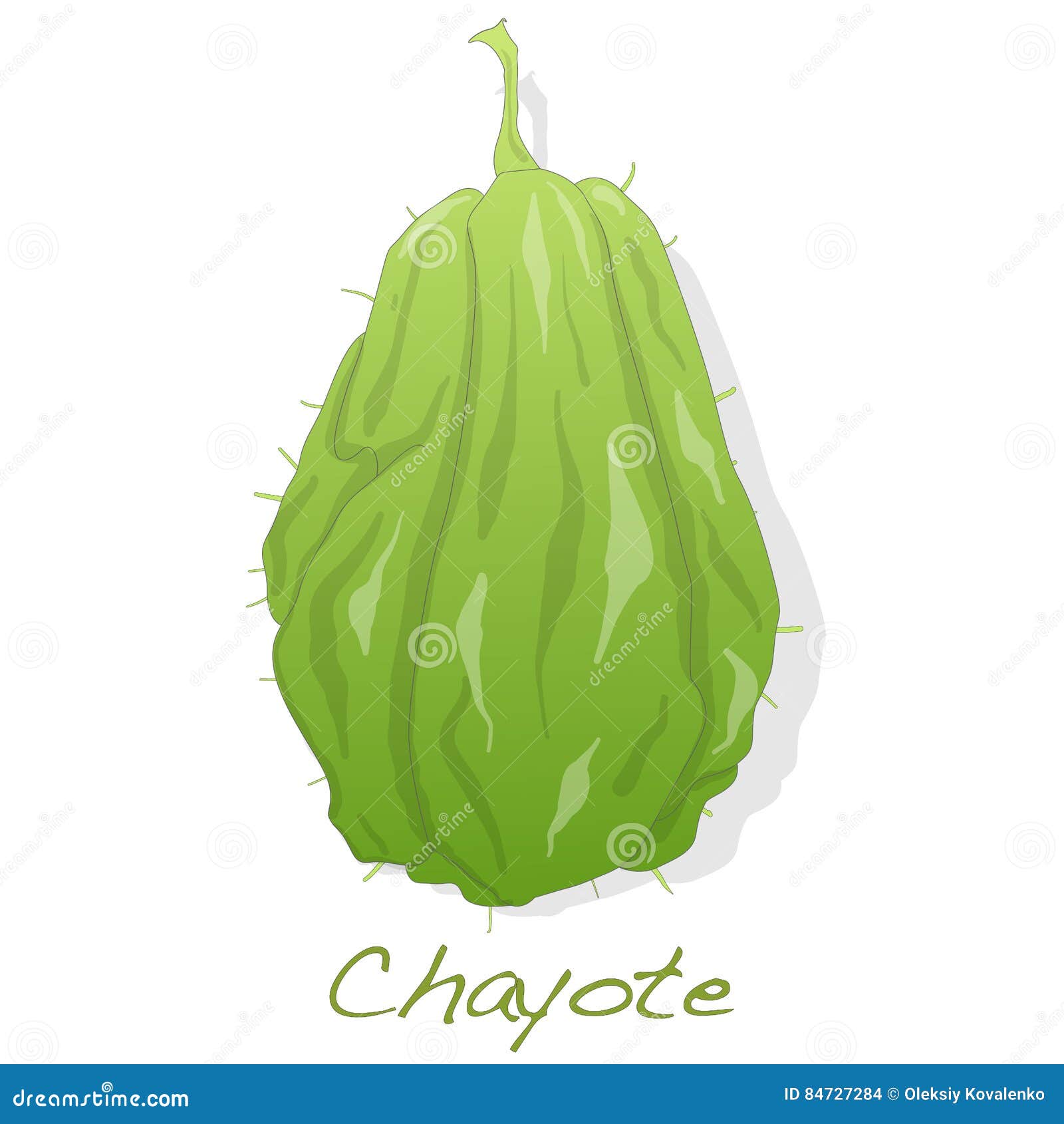 Chayote on White Background Stock Vector - Illustration of tasty ...
