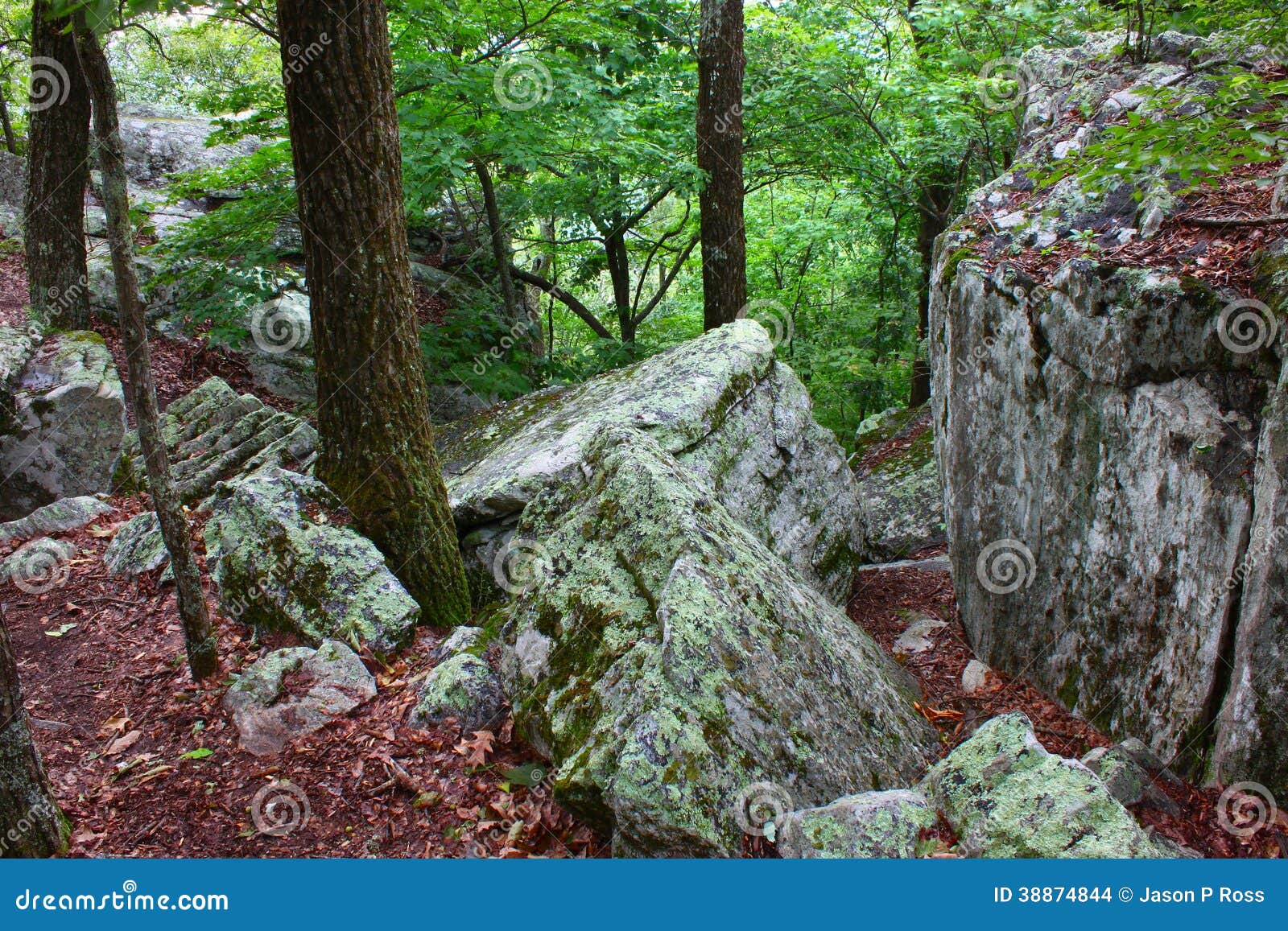 Cheaha State Park Alabama stock photo. Image of rock - 38874844