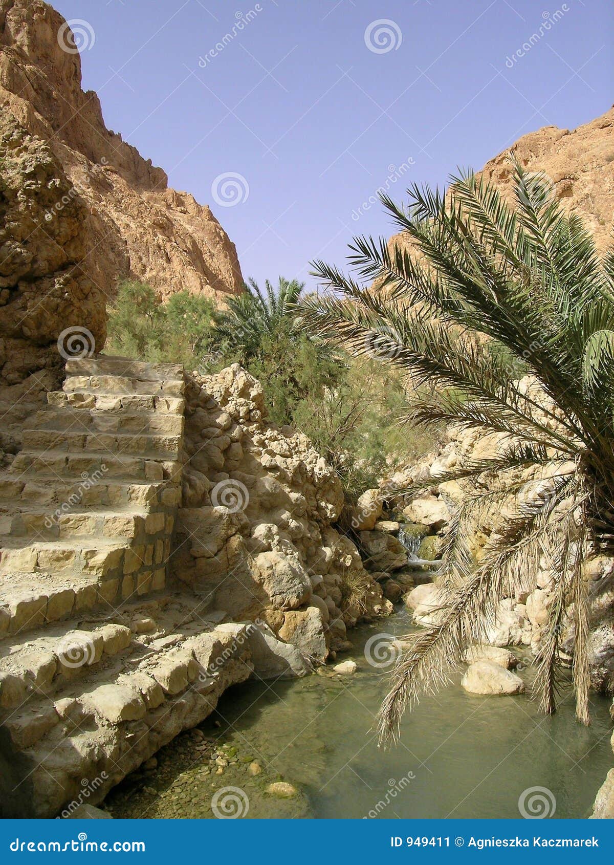Chebika Oasis stock image. Image of mountains, palm, stone - 949411