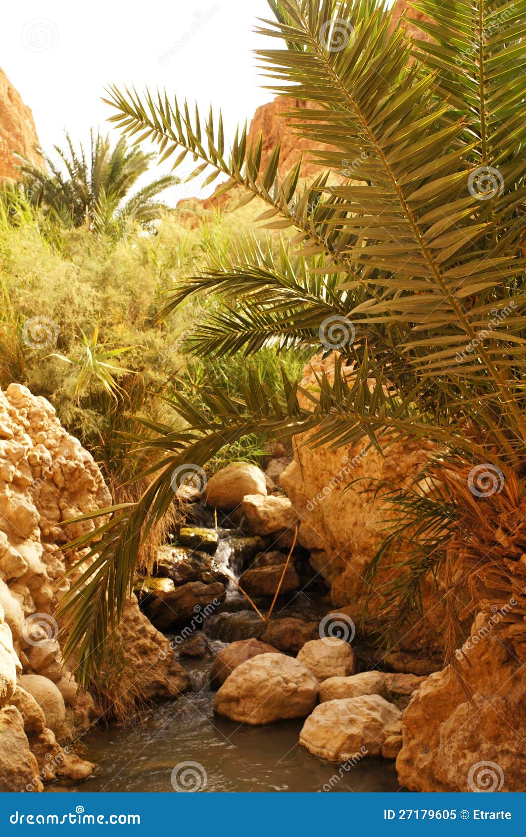 The Chebika Oasis in Tunisia Stock Image - Image of tourist, natural ...