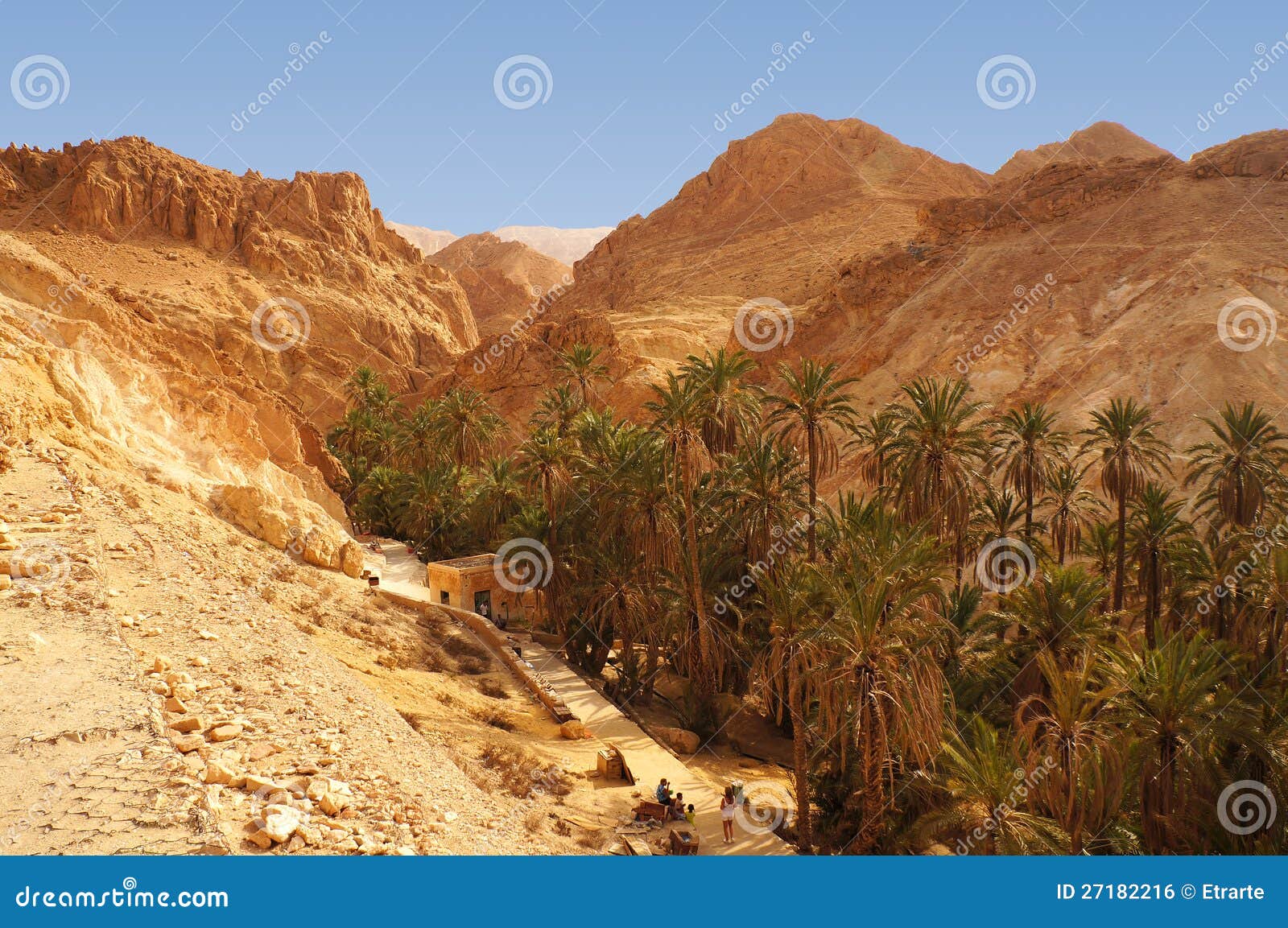 The Chebika Oasis in Tunisia Stock Photo - Image of palm, patient: 27182216