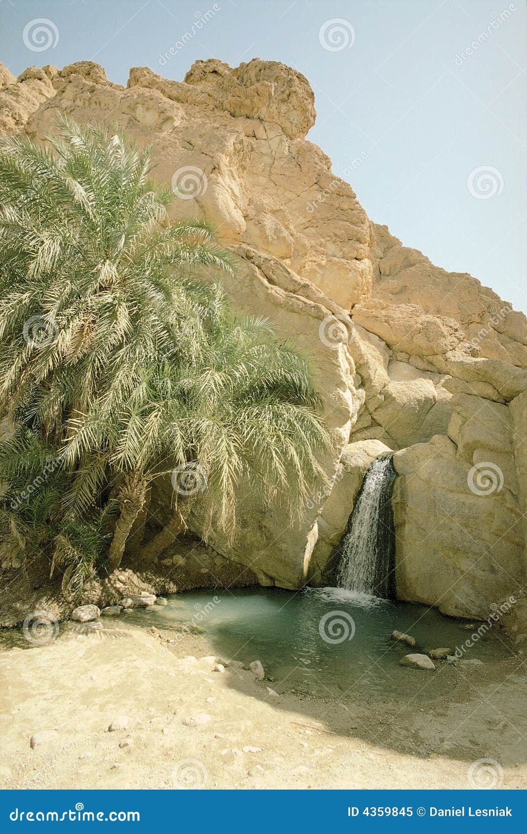 Chebika - tunisian oasis stock image. Image of uplands - 4359845