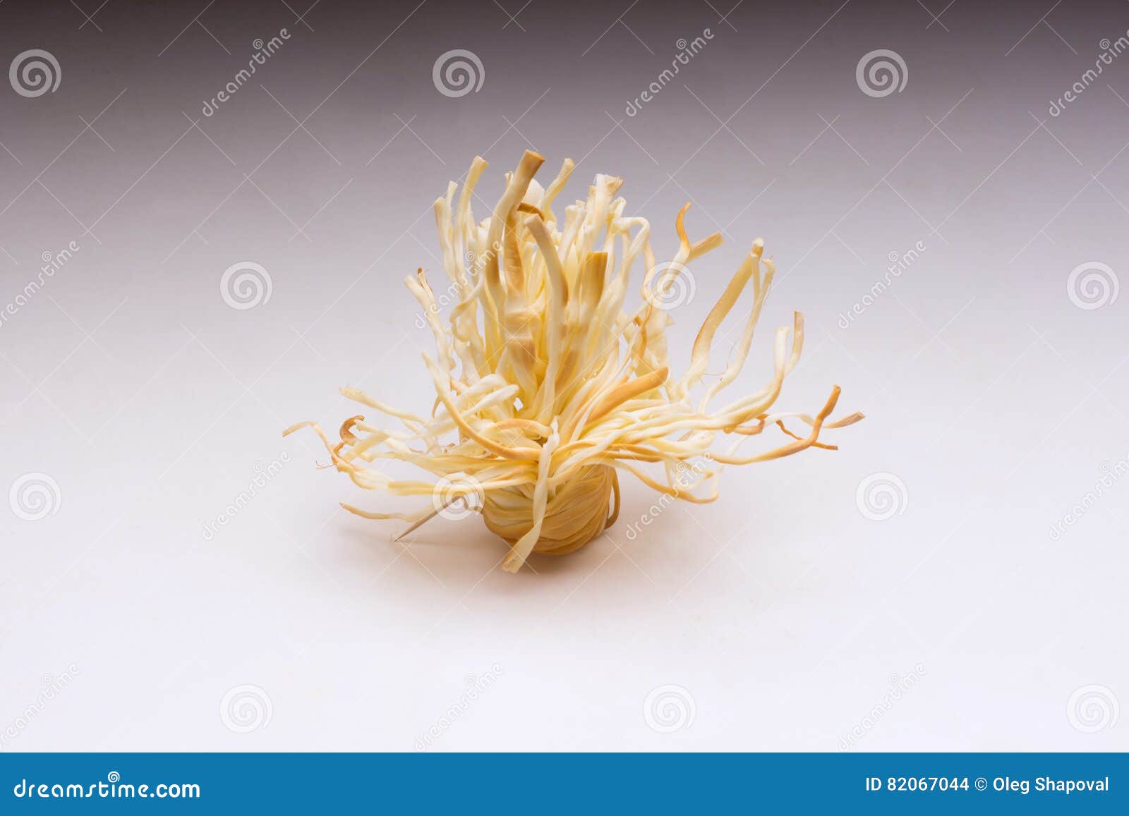 Chechil Cheese on a White Background. Stock Photo - Image of protein ...