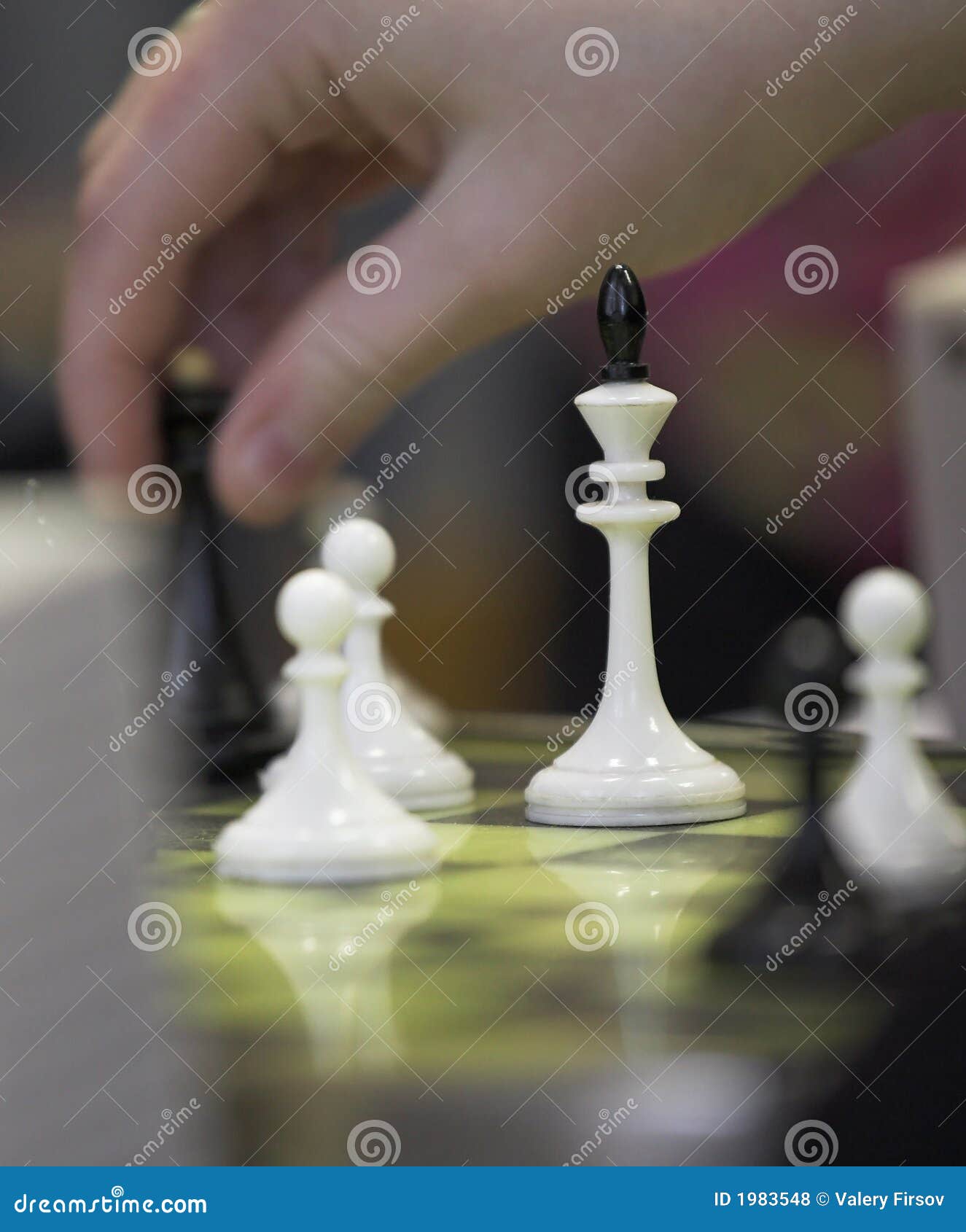 Check. stock photo. Image of tournament, king, check, chess - 1983548