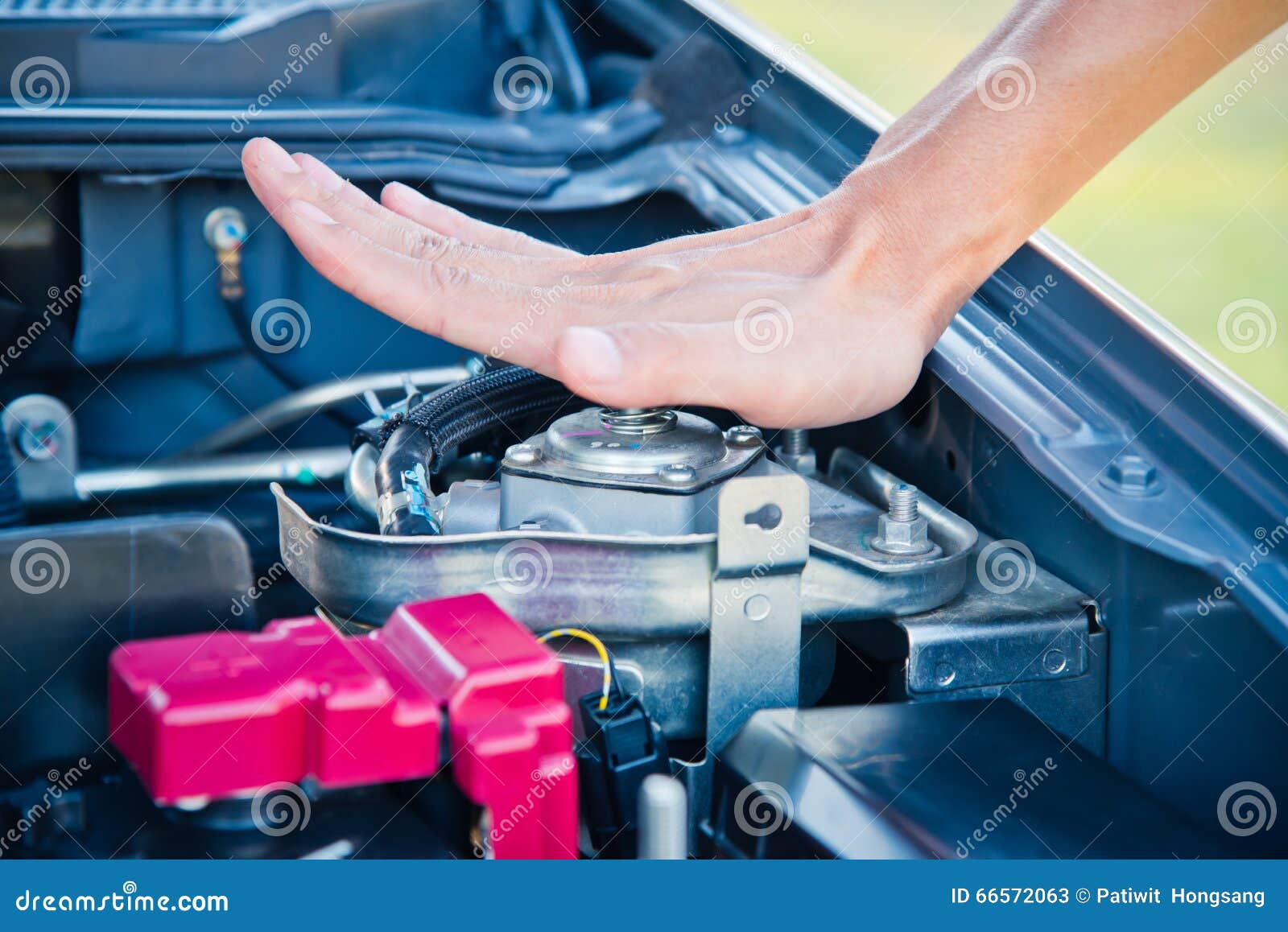 Check the Condition of the Car Engine. Stock Image - Image of adult ... Check the Condition of the Car Engine. Stock Image - Image of adult ...