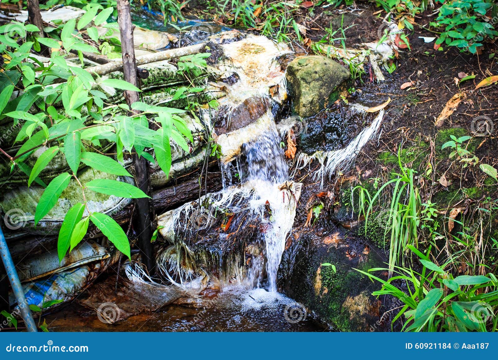 Check dam in forest stock photo. Image of camp, moss - 60921184