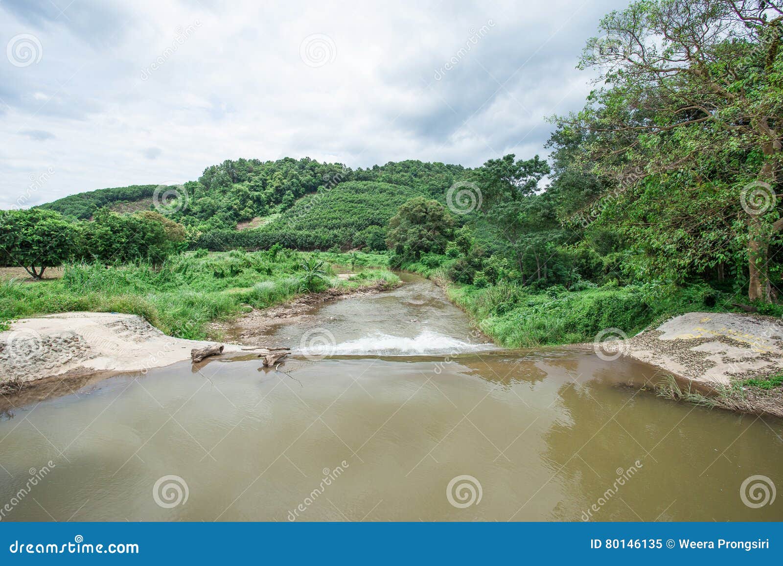 Check Dam, in National Park Stock Image - Image of construction, river ...