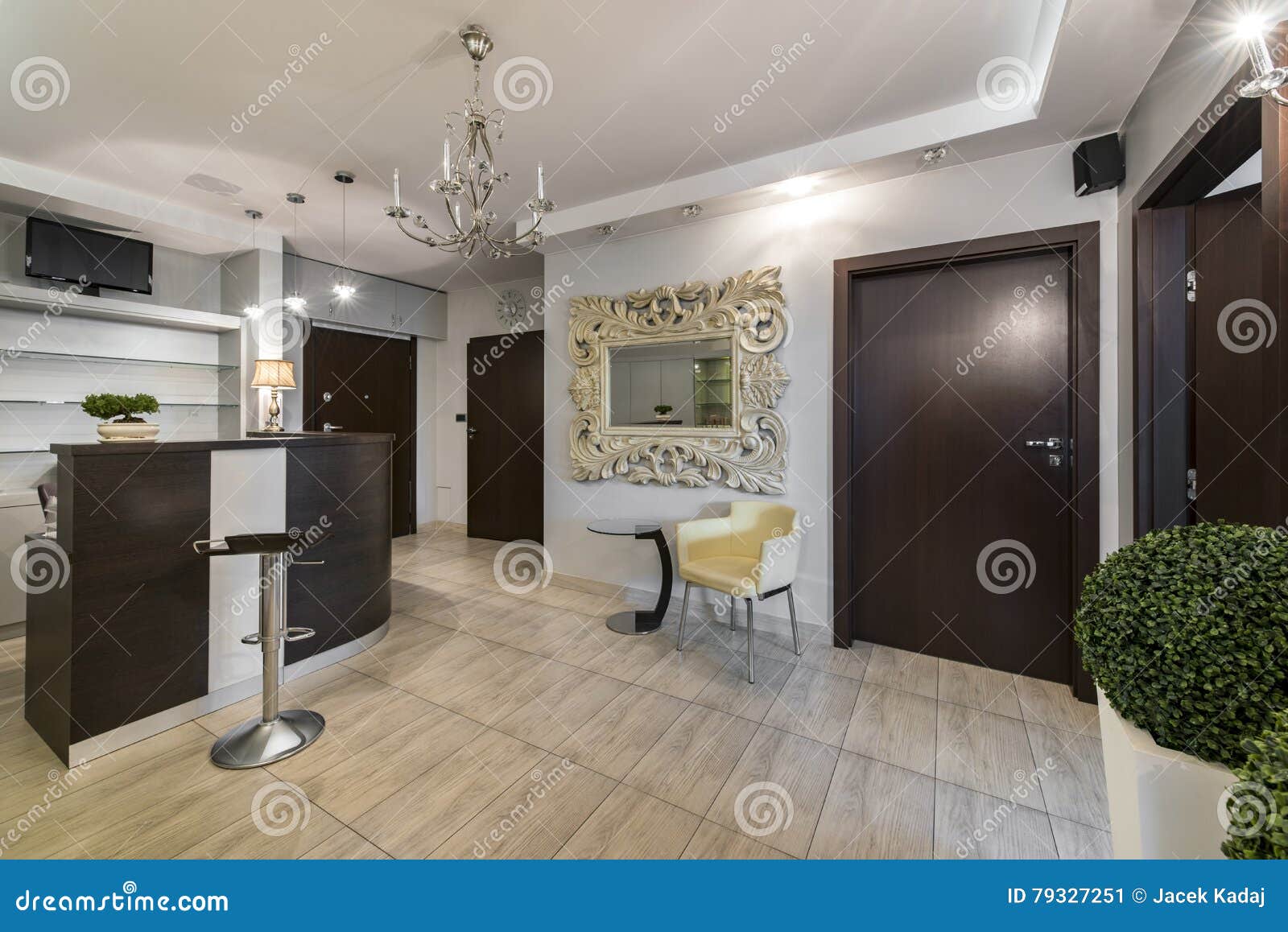 Check-in in Elegant Modern Clinic Stock Image - Image of bonsai ...