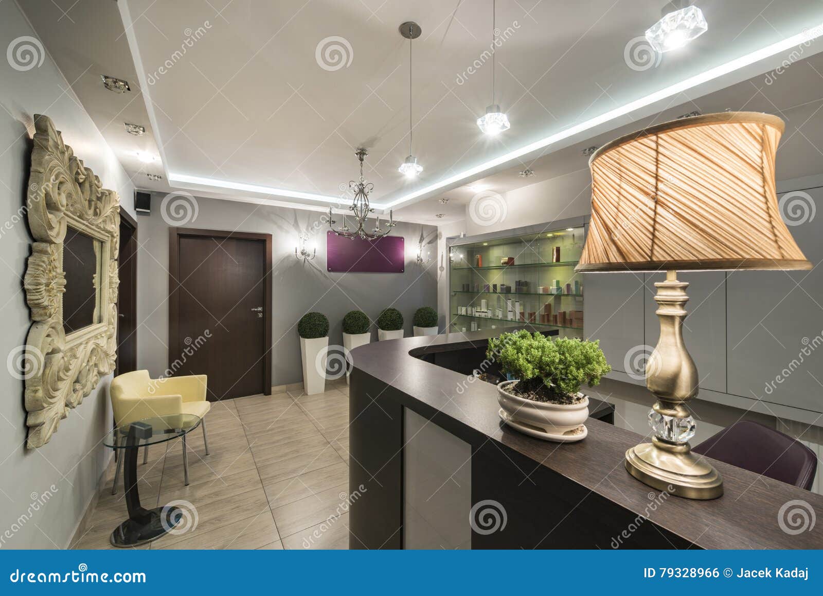 Check-in in Elegant Modern Clinic Stock Photo - Image of hotel, desk ...
