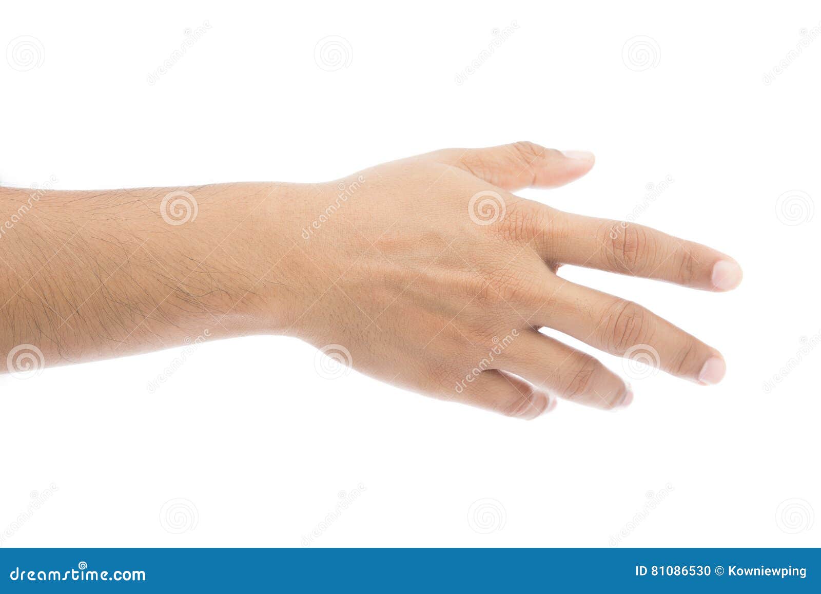 Check Hand stock photo. Image of give, human, check, conceptual - 81086530