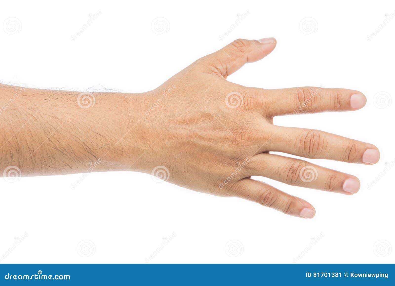 Check Hand stock image. Image of grab, concept, conceptual - 81701381