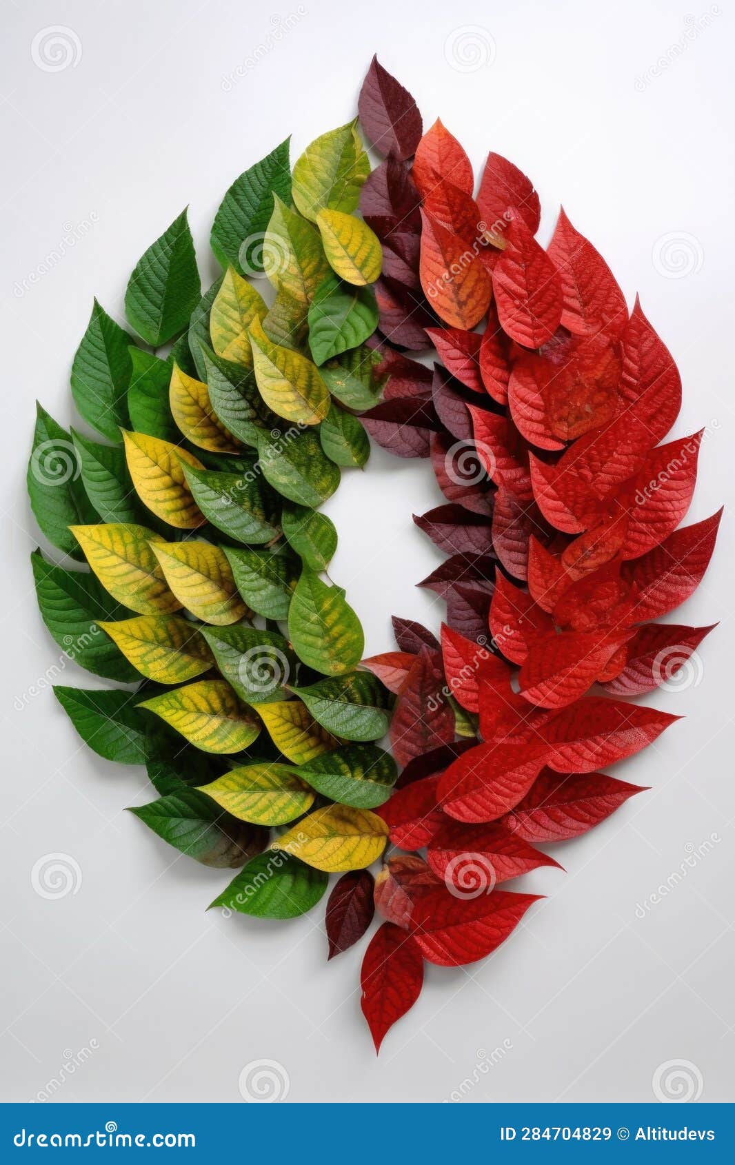 Check Mark Symbol Formed with Leaves Stock Illustration - Illustration ...