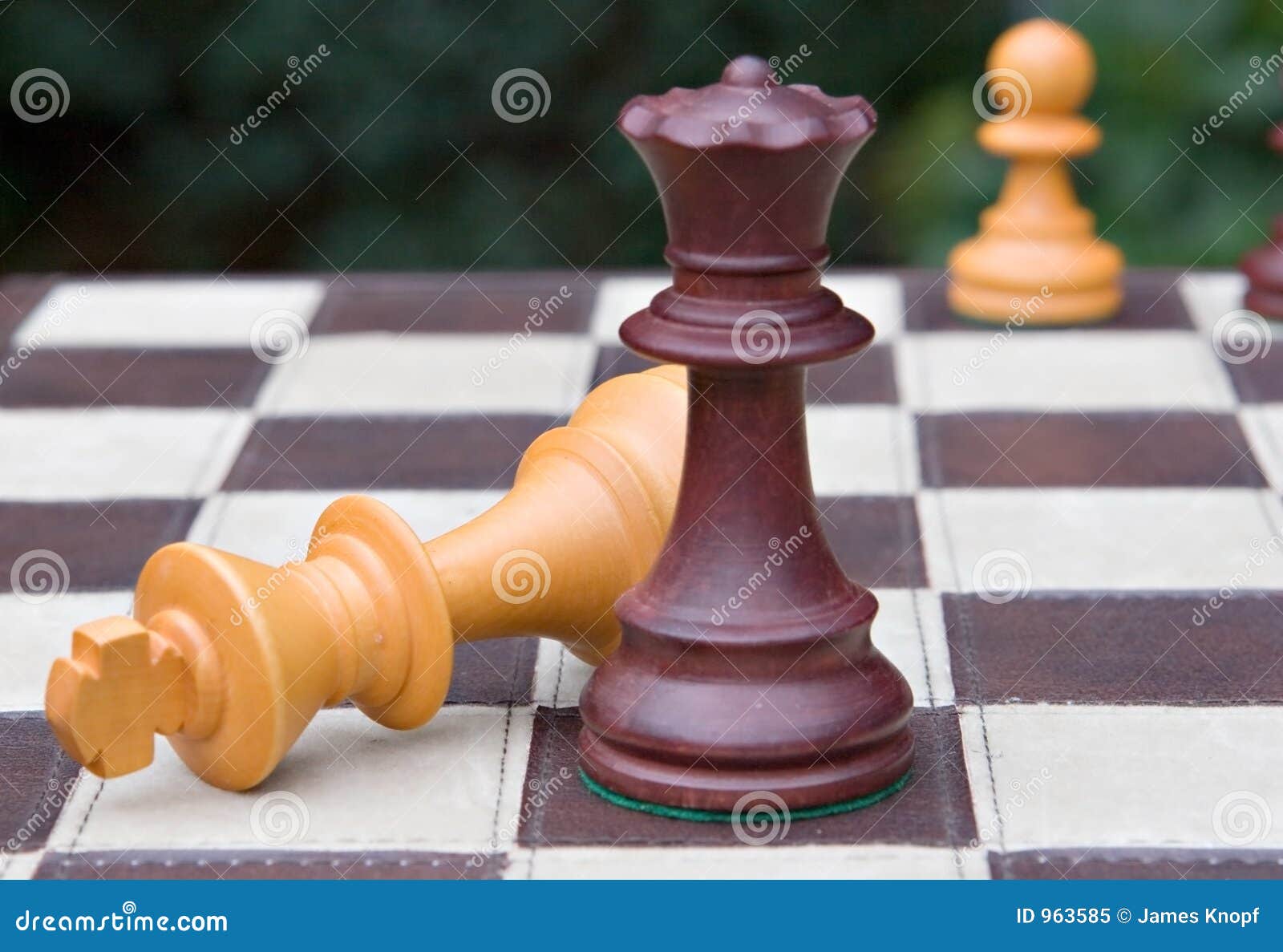 Check and Mate stock image. Image of check, surrender, compete - 963585