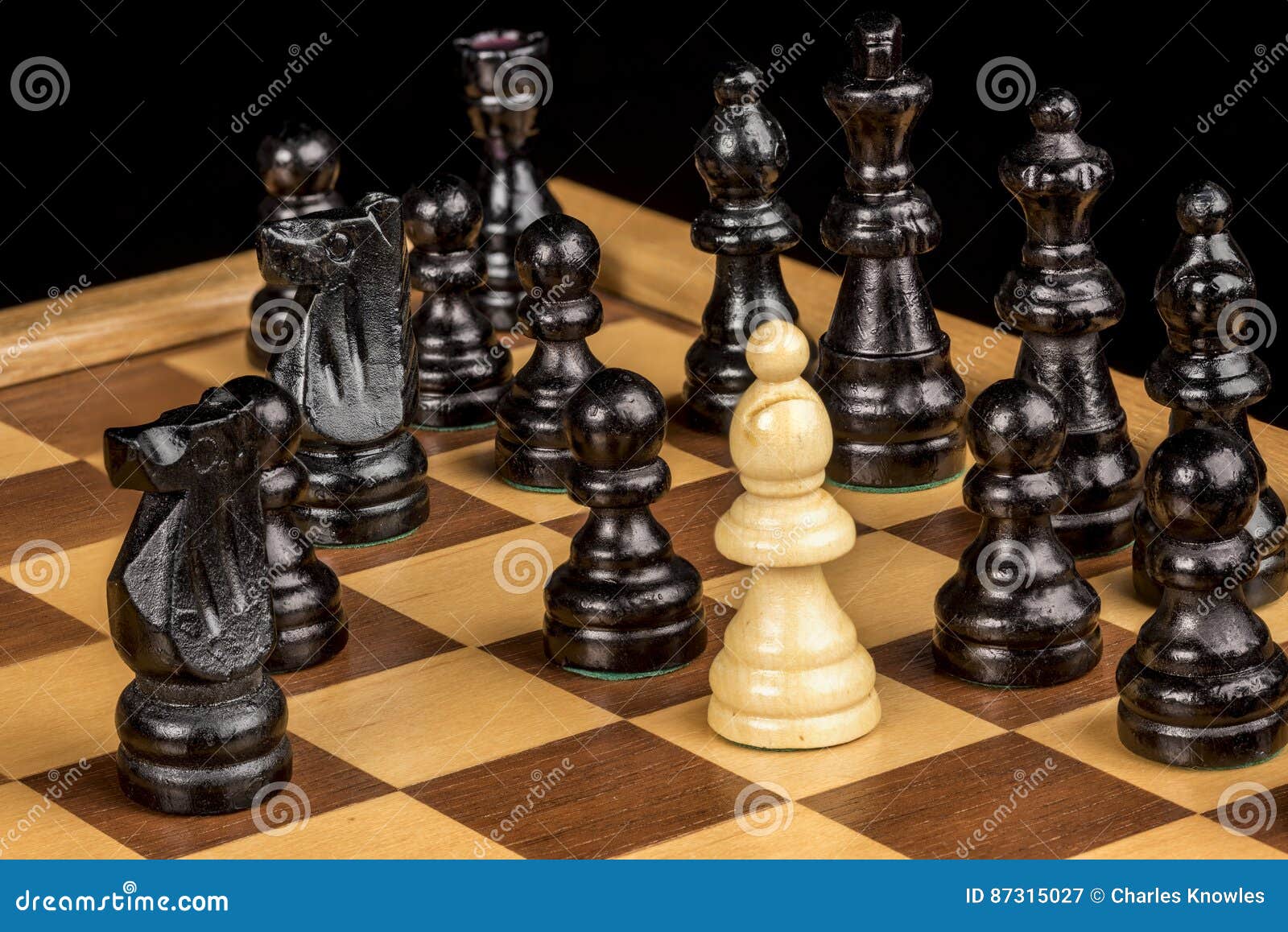 Check Mate on a Chess Board Stock Image - Image of plastic, chess: 87315027