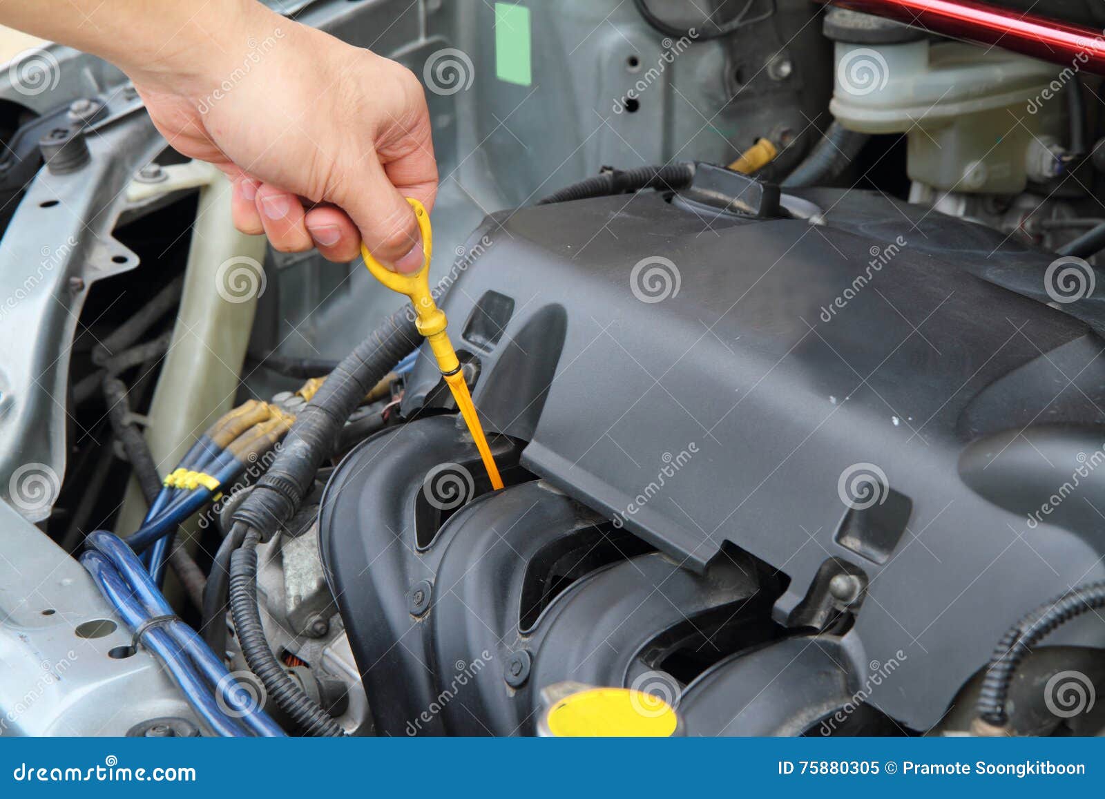 Check oil machine stock image. Image of engine, level - 75880305