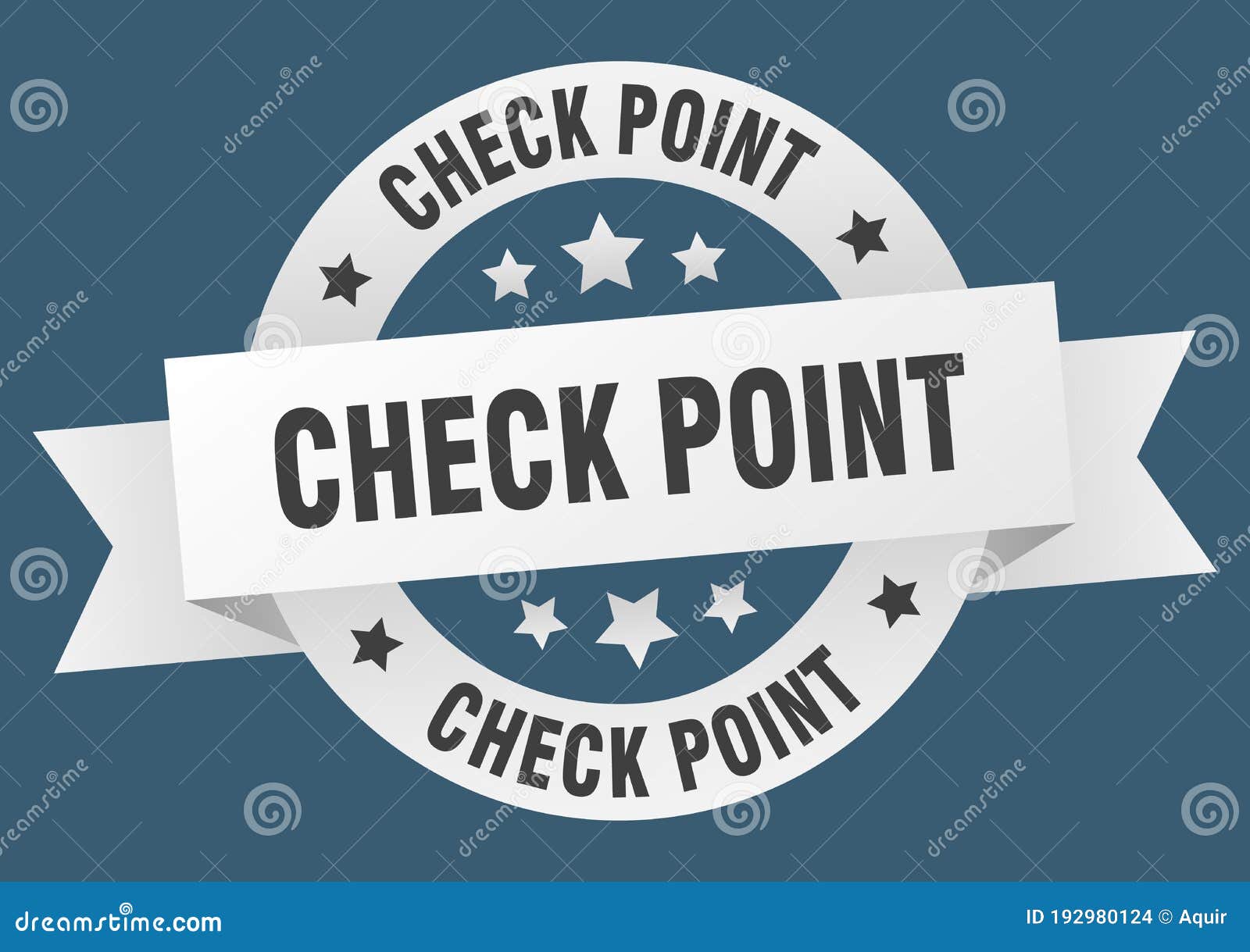 Check Point Round Ribbon Isolated Label. Check Point Sign Stock Vector ...