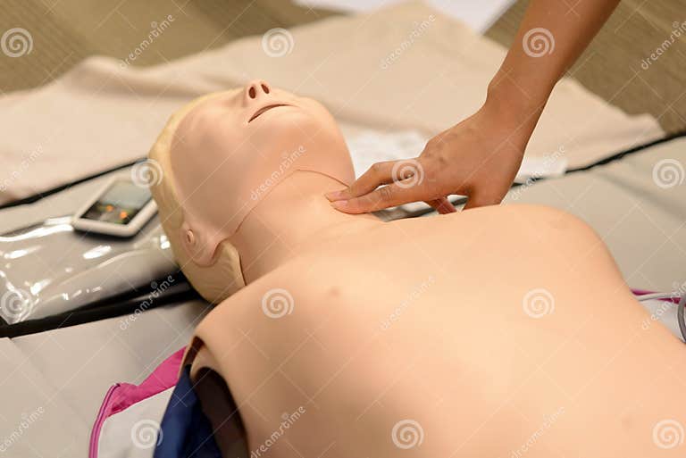 Check Pulse - CPR First Aid Training with CPR Dummy in the Class Stock Image - Image of help ...