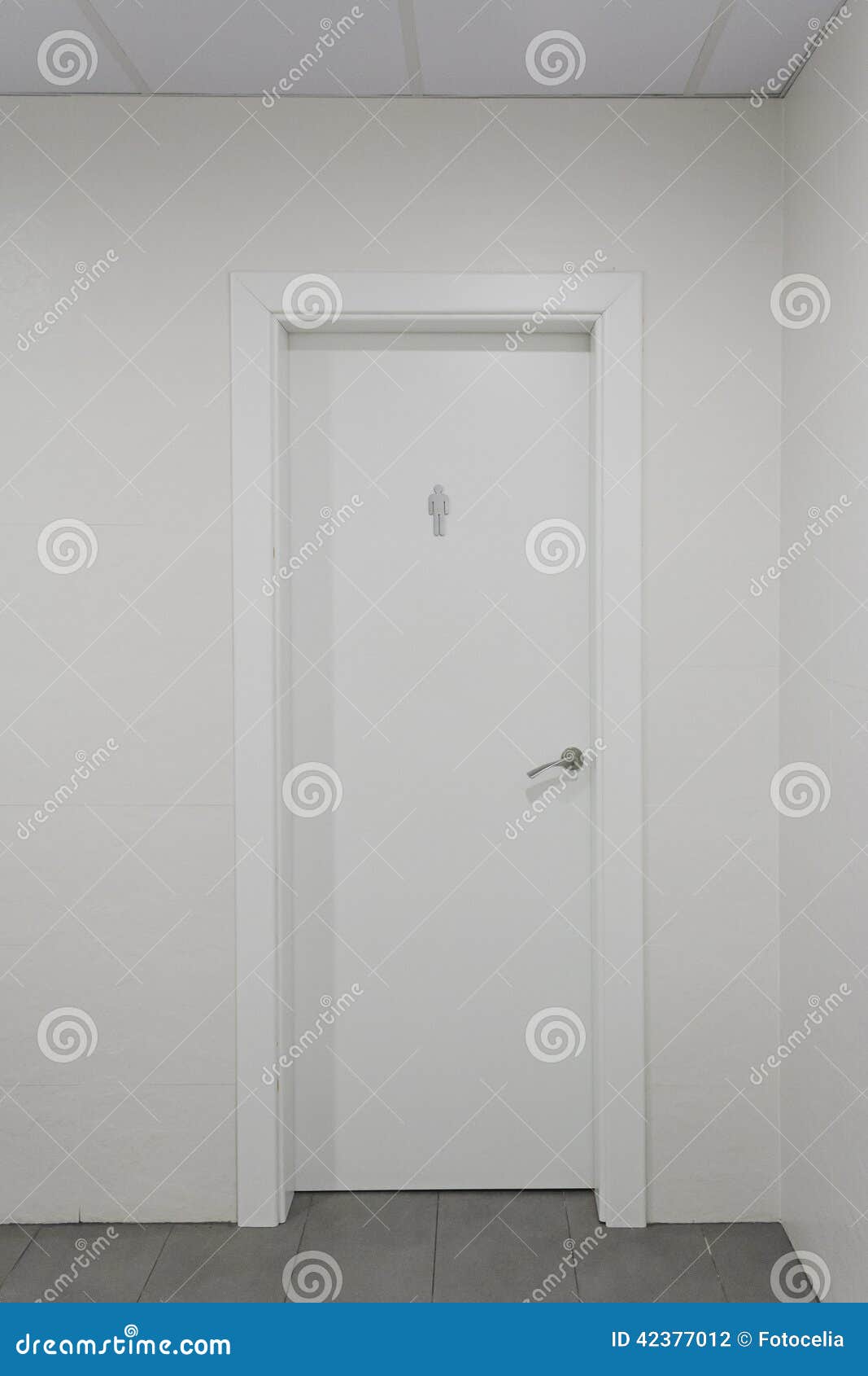 Check toilet stock photo. Image of detail, gender, room - 42377012