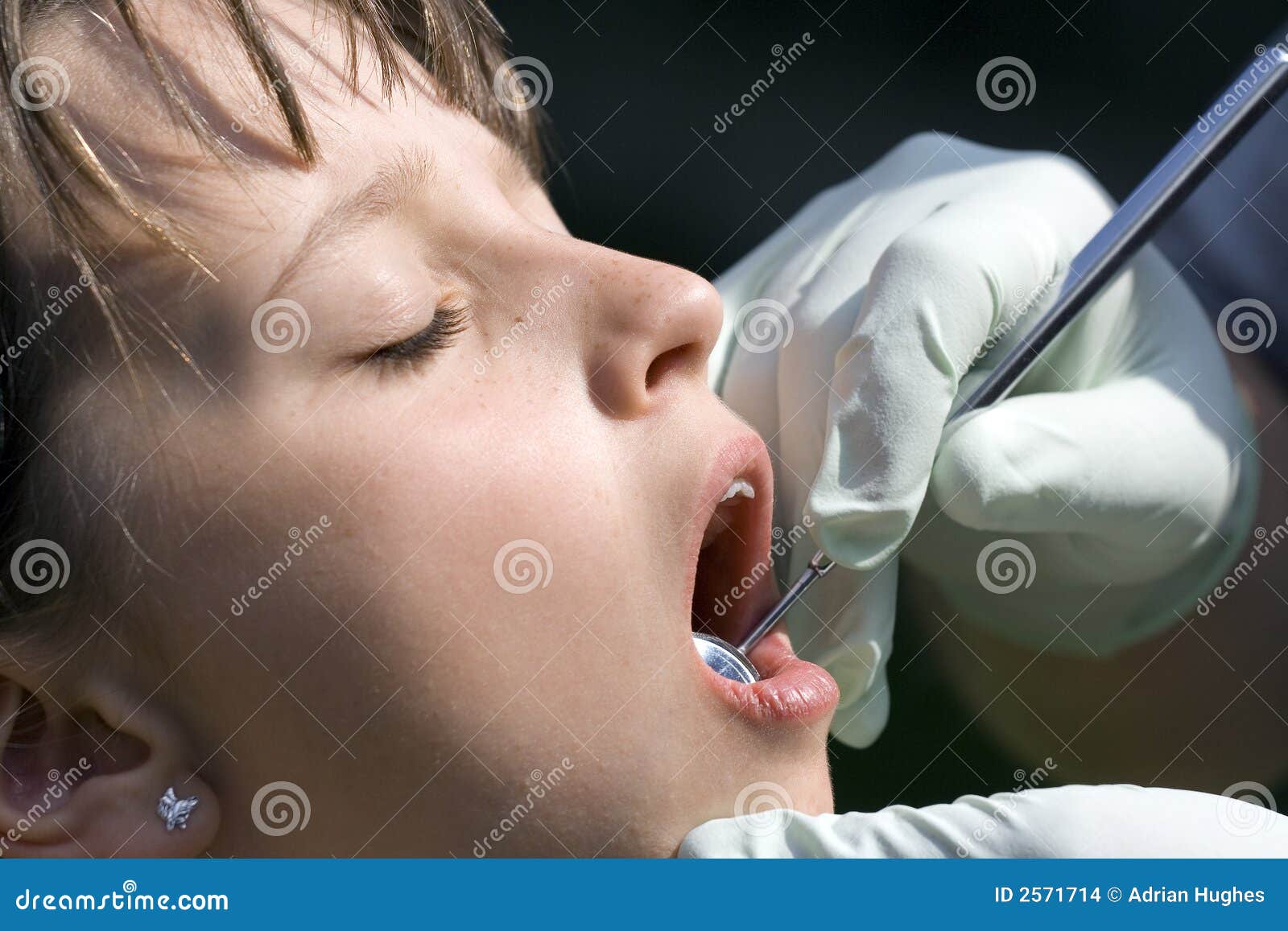 Check-up stock photo. Image of canine, checkup, child - 2571714