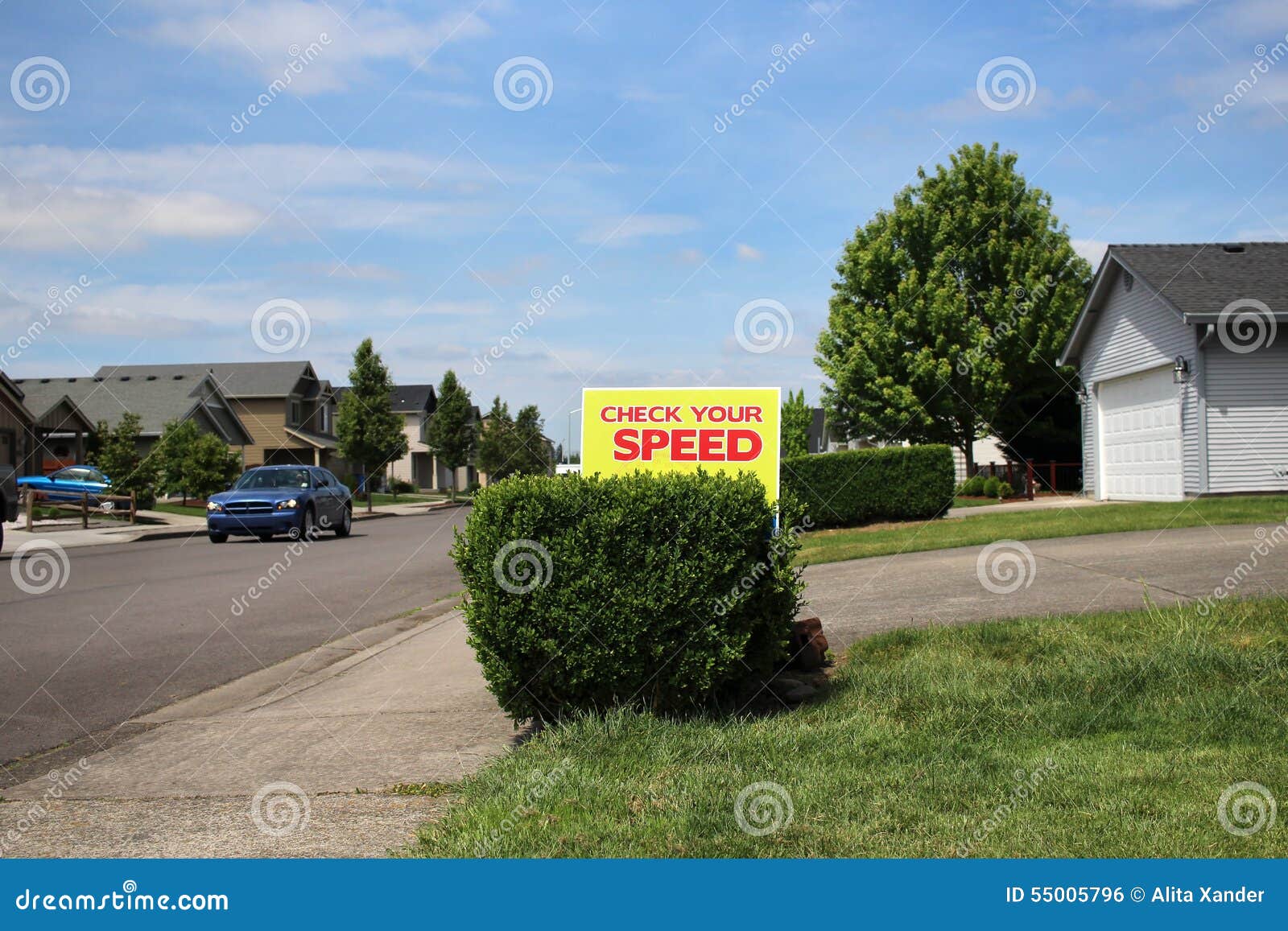 Check Your Speed sign stock photo. Image of check, area - 55005796
