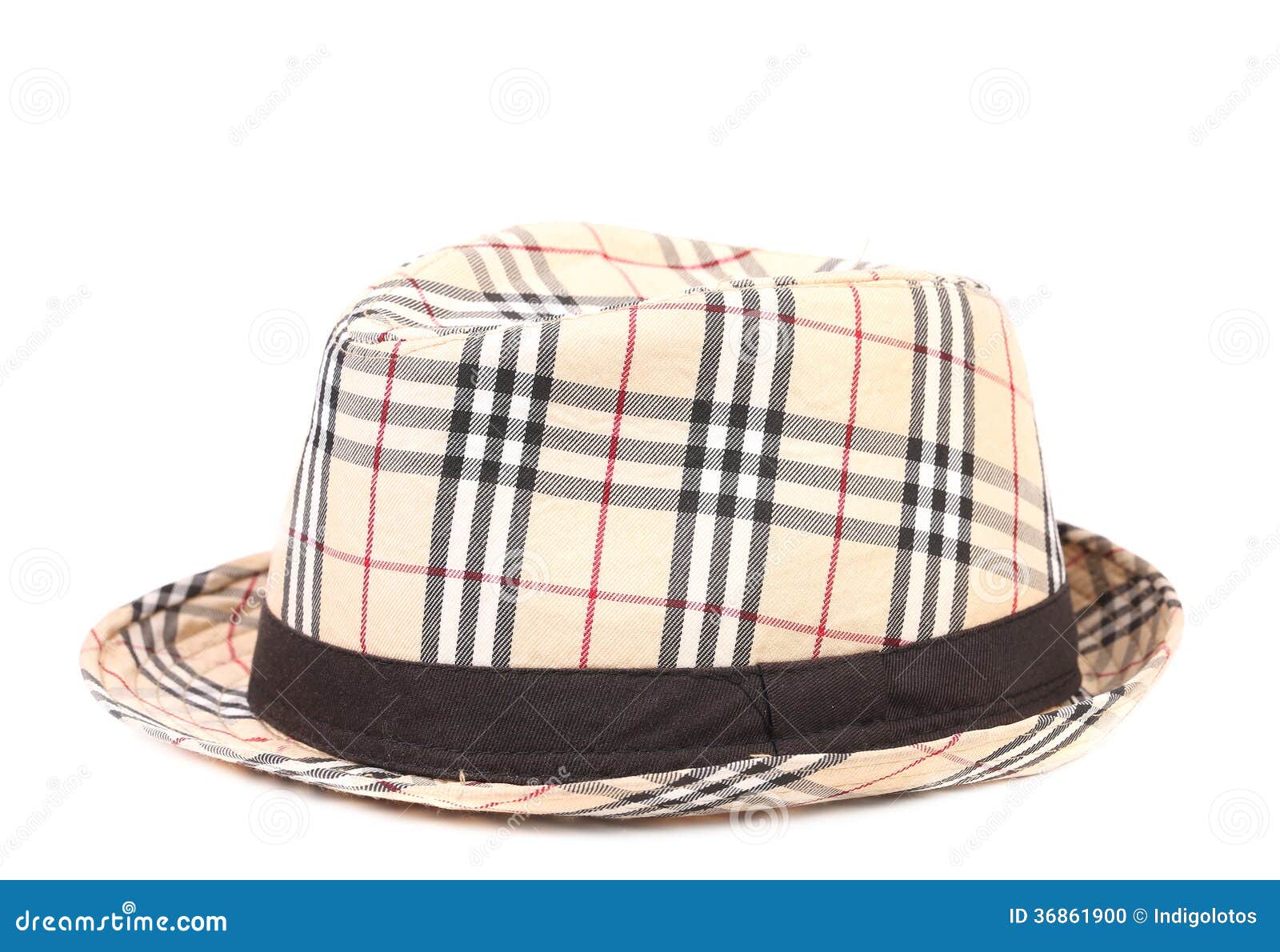 Checked hat. stock photo. Image of cold, design, guard - 36861900