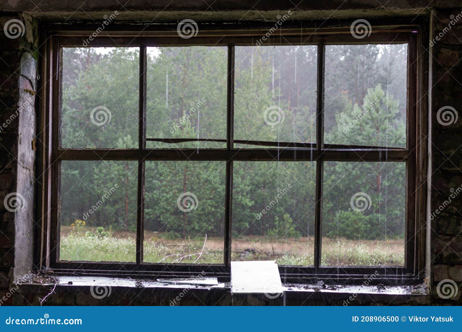 Checked Window Frame. View of the Forest through a Window without Glass ...
