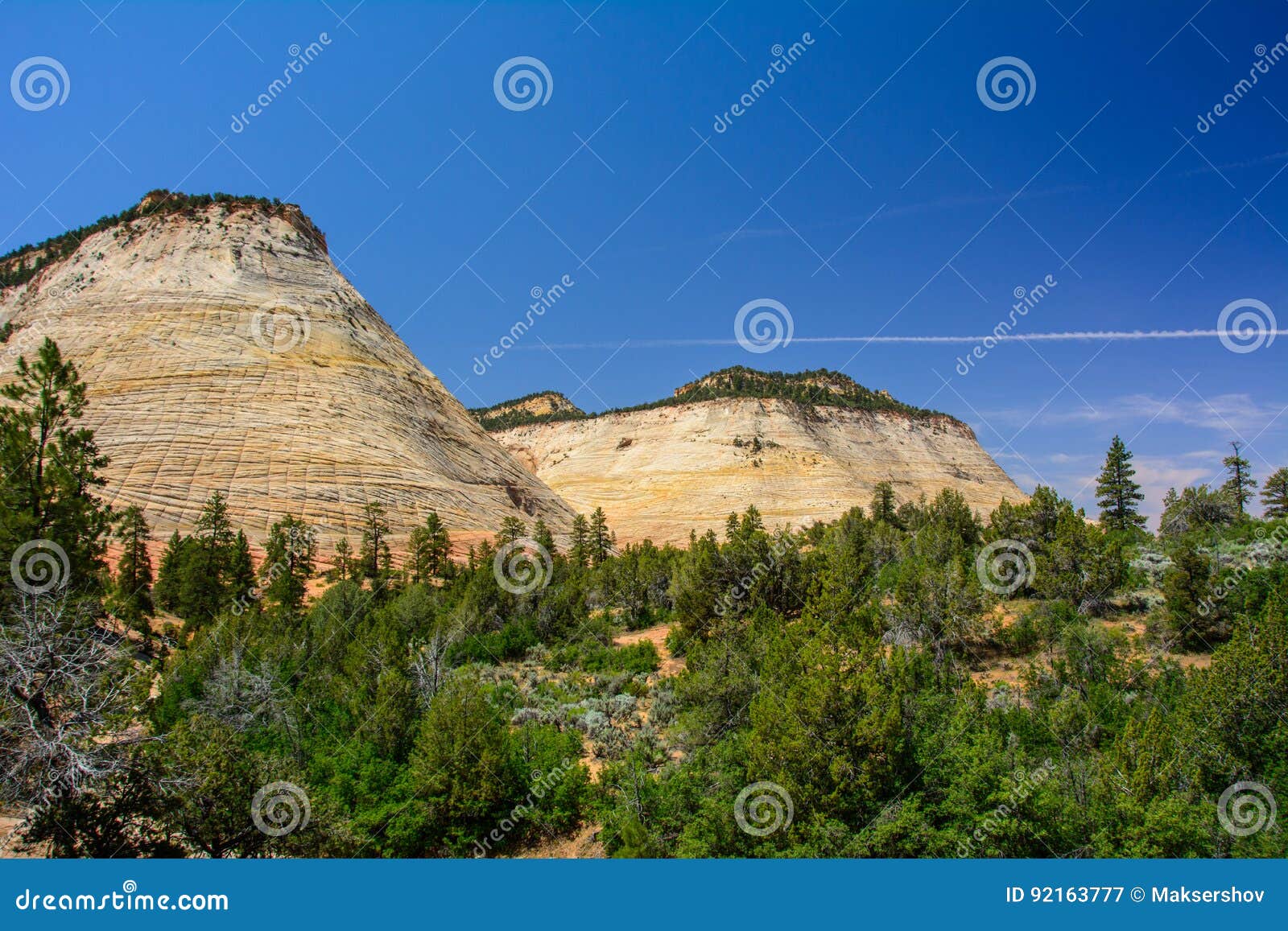 Checkerboard Mesa in Zion National Park, Utah Stock Image - Image of ...