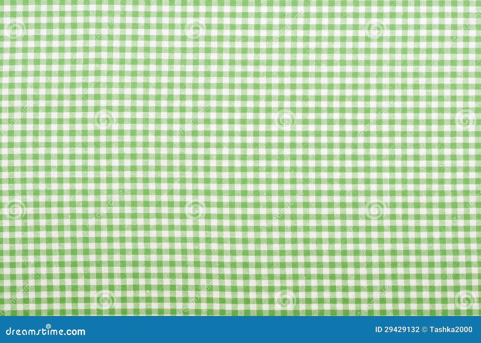 Green Checkered Jacket