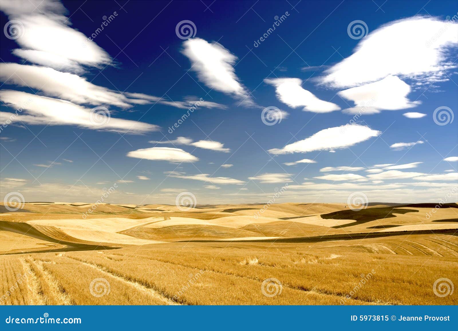 Checkered Landscape stock image. Image of environmental - 5973815