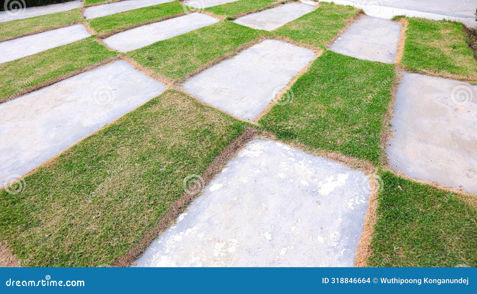 Checkered Pattern Grass Playground Field Yard Stock Photo - Image of ...