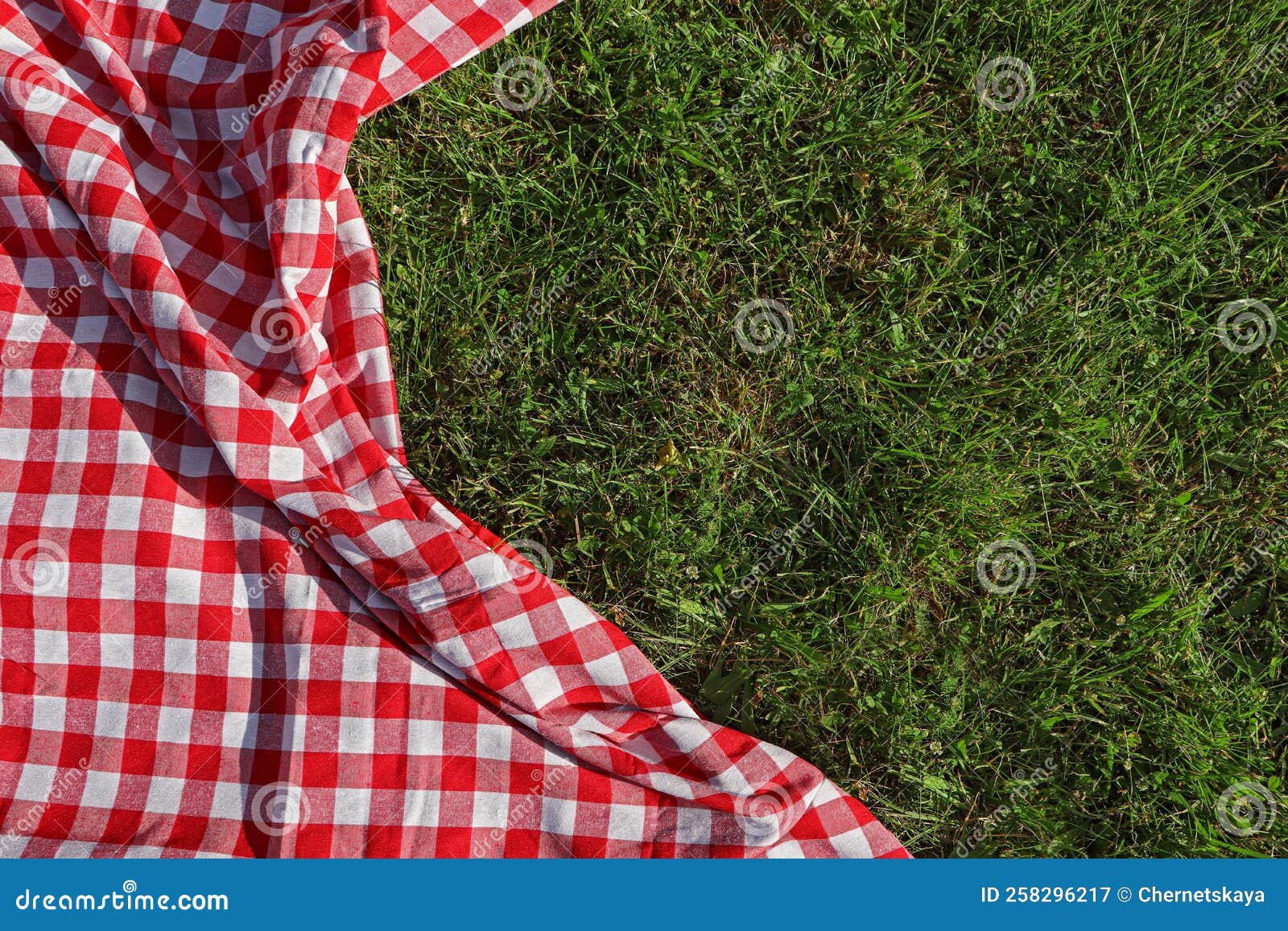 Checkered Picnic Tablecloth on Fresh Green Grass, Top View. Space for ...
