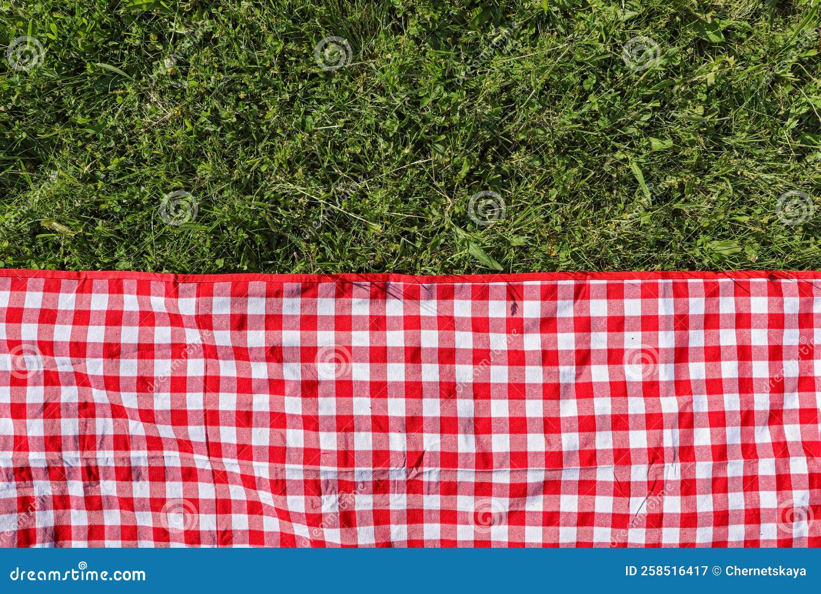 Checkered Picnic Tablecloth on Fresh Green Grass, Top View. Space for ...