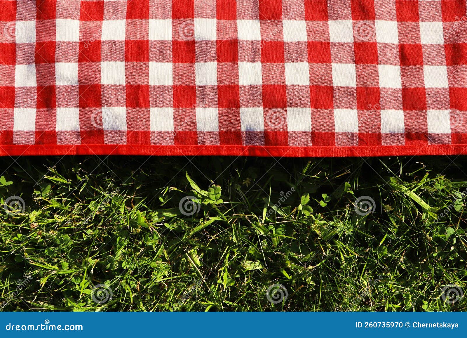 Checkered Picnic Tablecloth on Fresh Green Grass, Top View. Space for ...