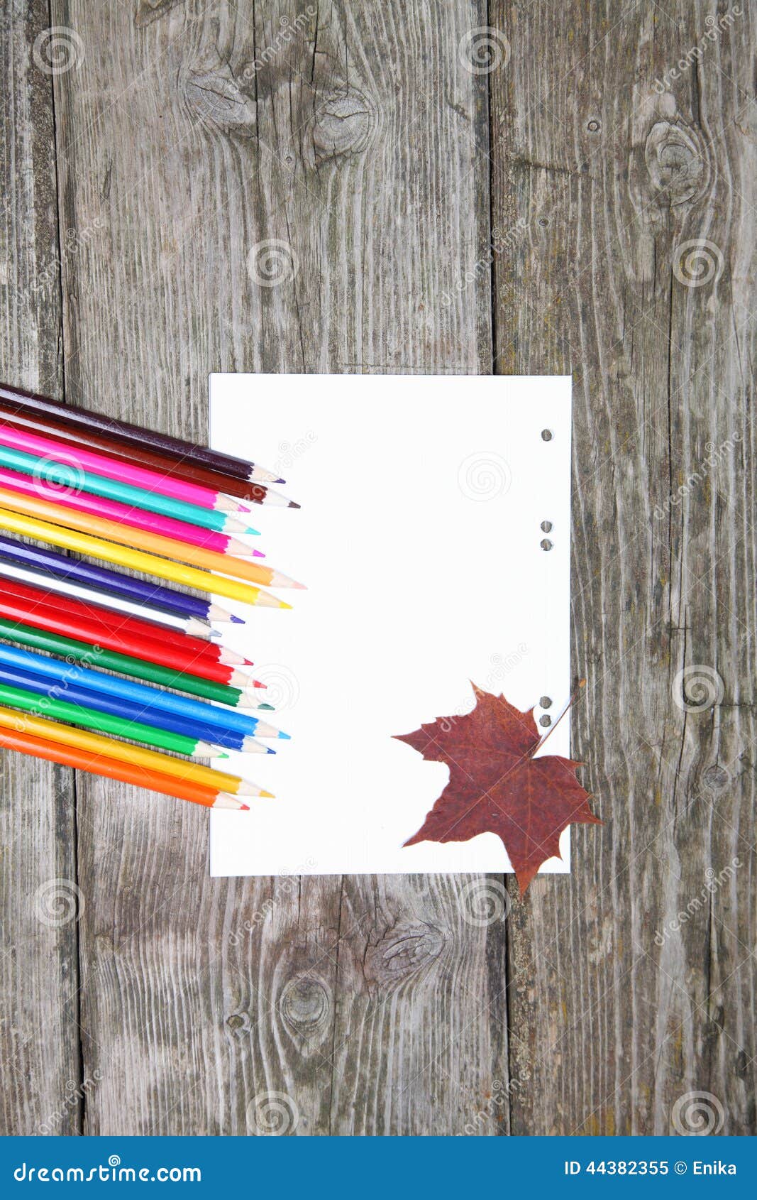 Checkered Sheet, Maple Leaf and Pencils Stock Image - Image of learning ...