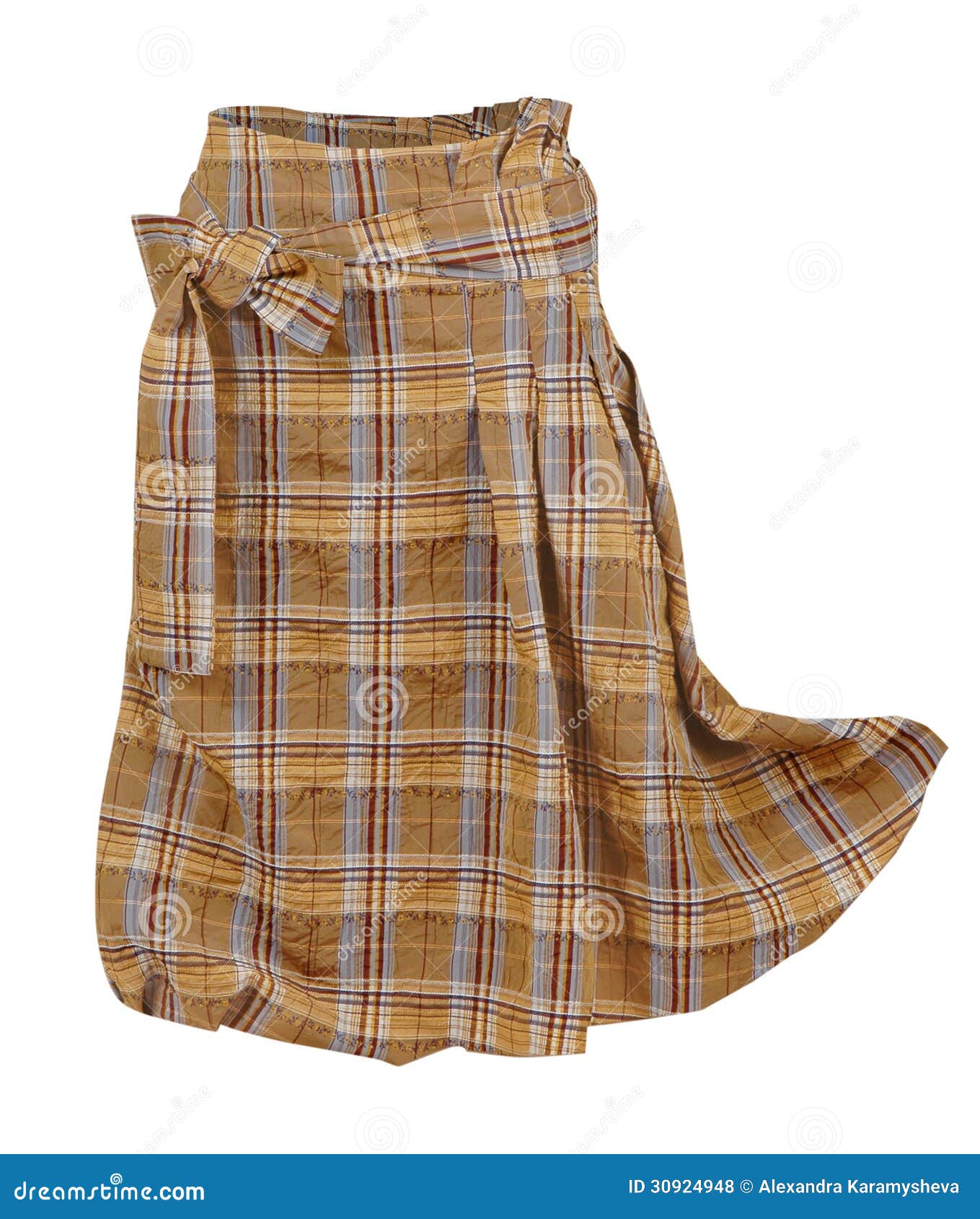 Checkered skirt stock photo. Image of fashion, shopping - 30924948