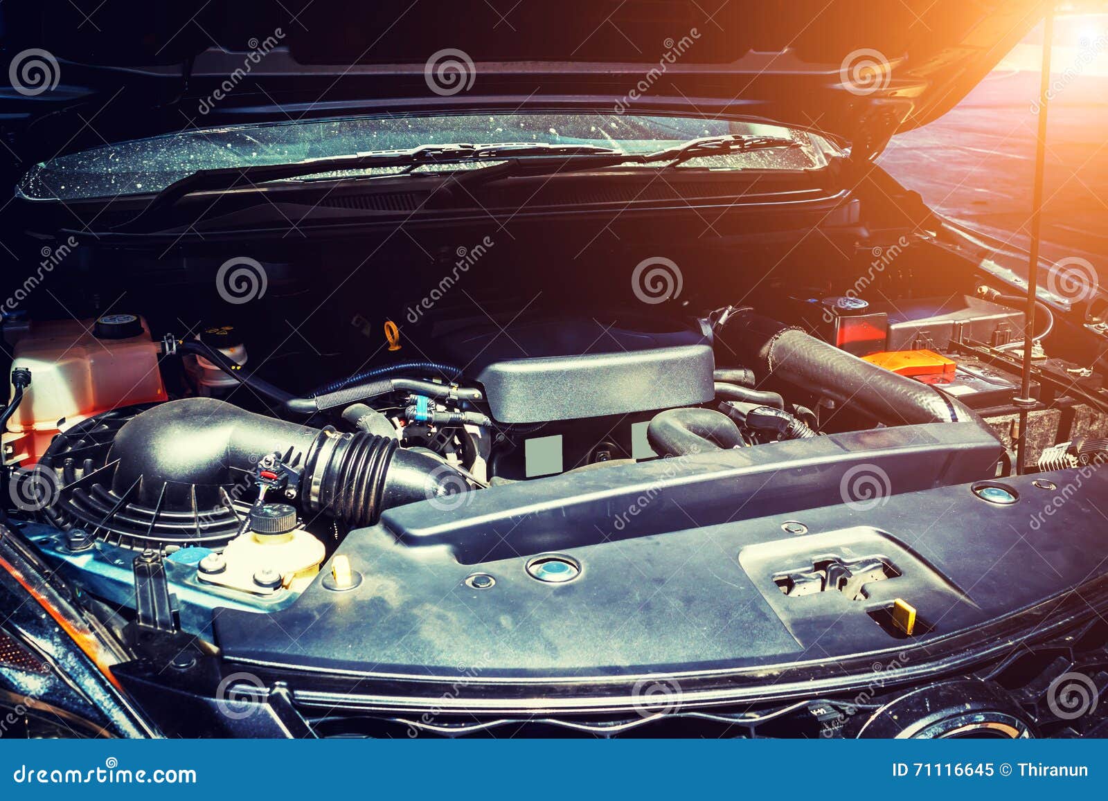 Checking Car Engine and Auto Repair Stock Image - Image of mechanic ...