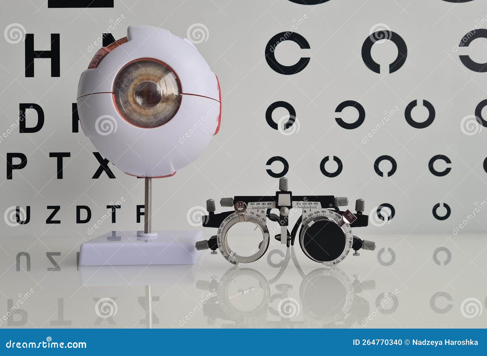 Checking Diagram of Vision and Anatomy of Eye Stock Photo - Image of ...