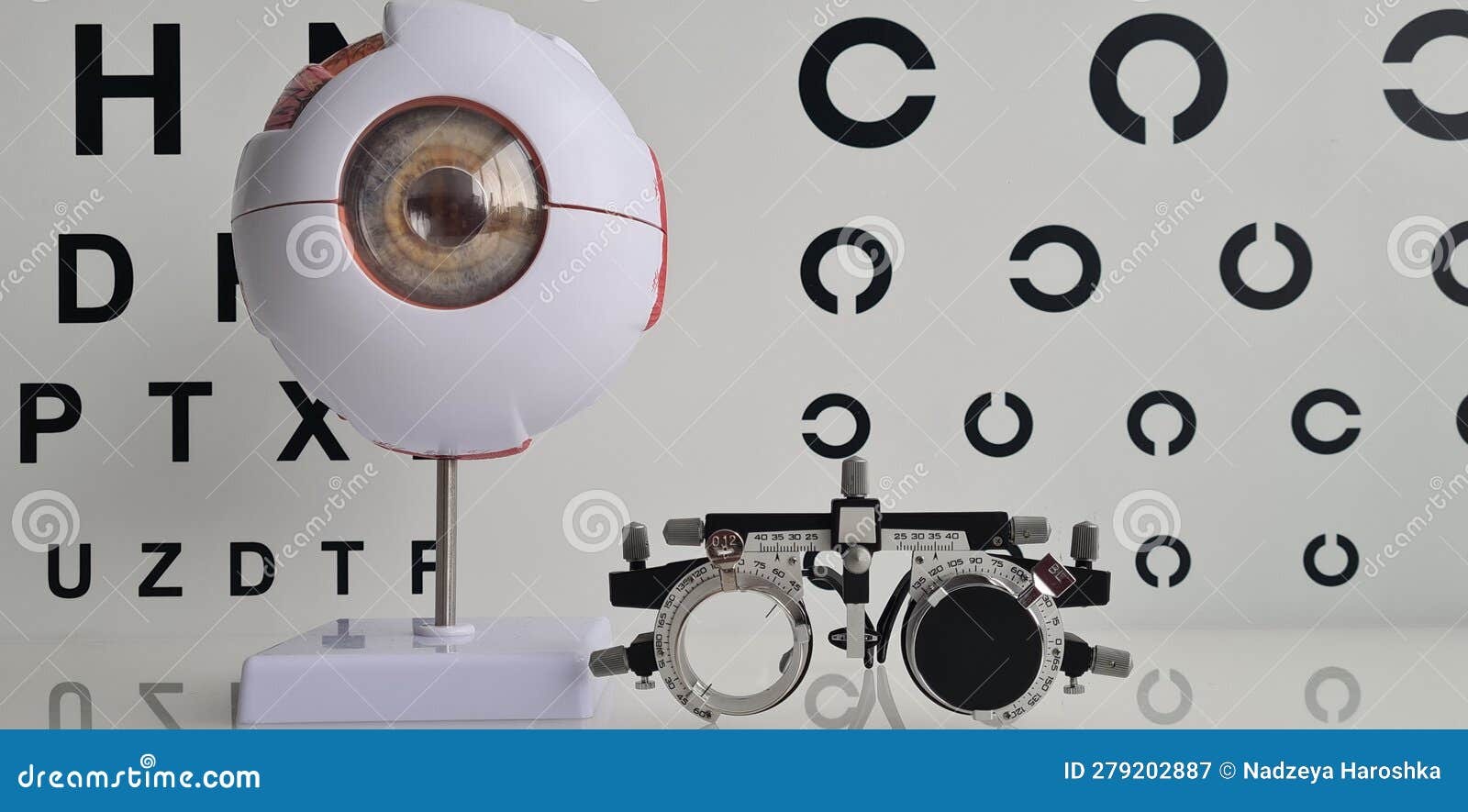 Checking Diagram of Vision and Anatomy of Eye Stock Image - Image of ...