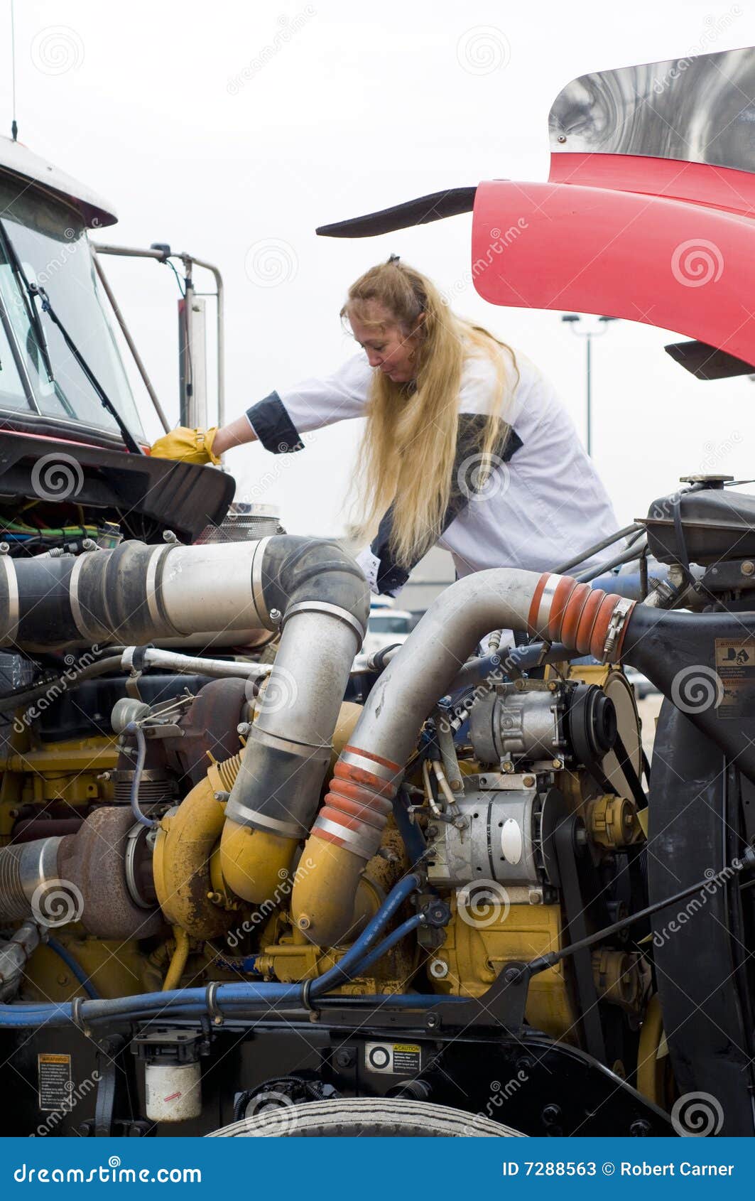 Checking the fluid levels. stock image. Image of carrier - 7288563