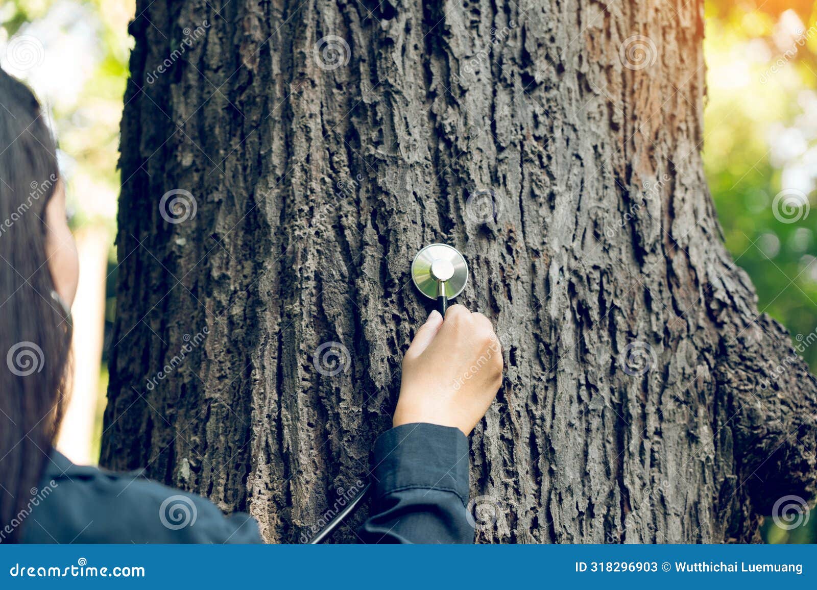 Checking Health Tree by Stethoscope in the Forest Concept Stock Image ...