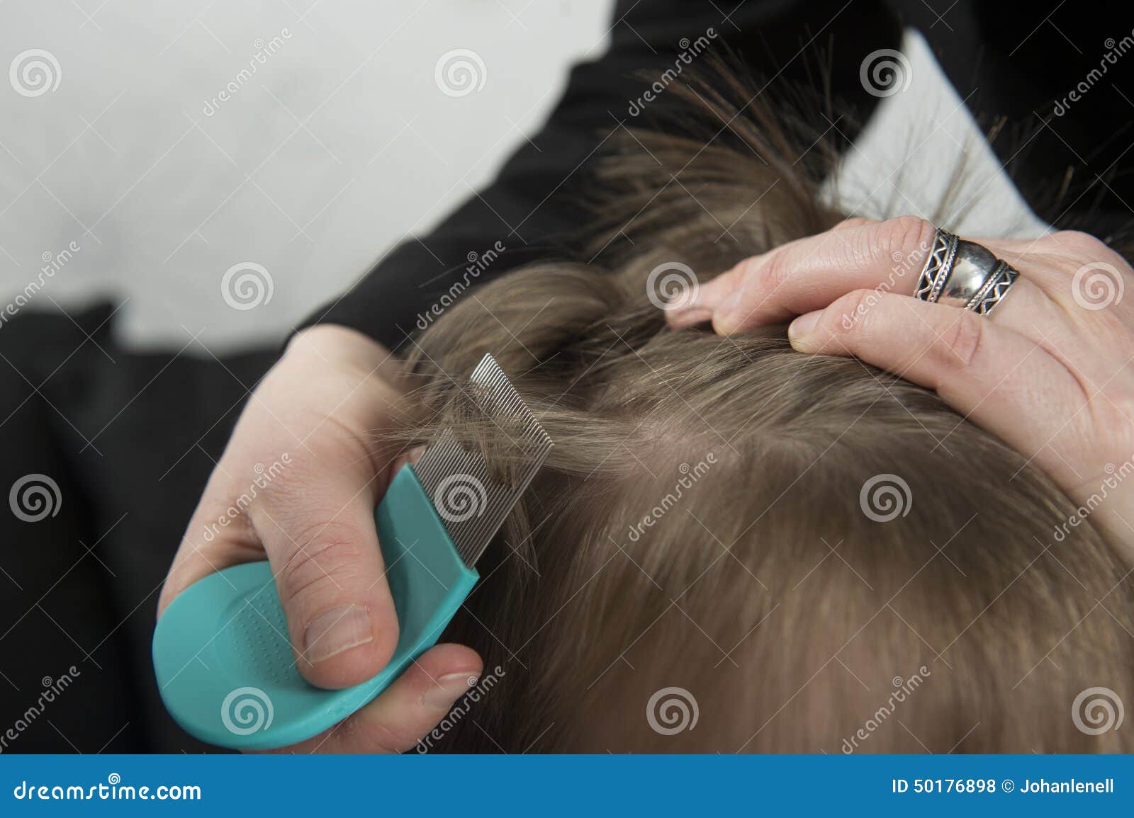 Checking for lice stock photo. Image of health, nitpicking - 50176898