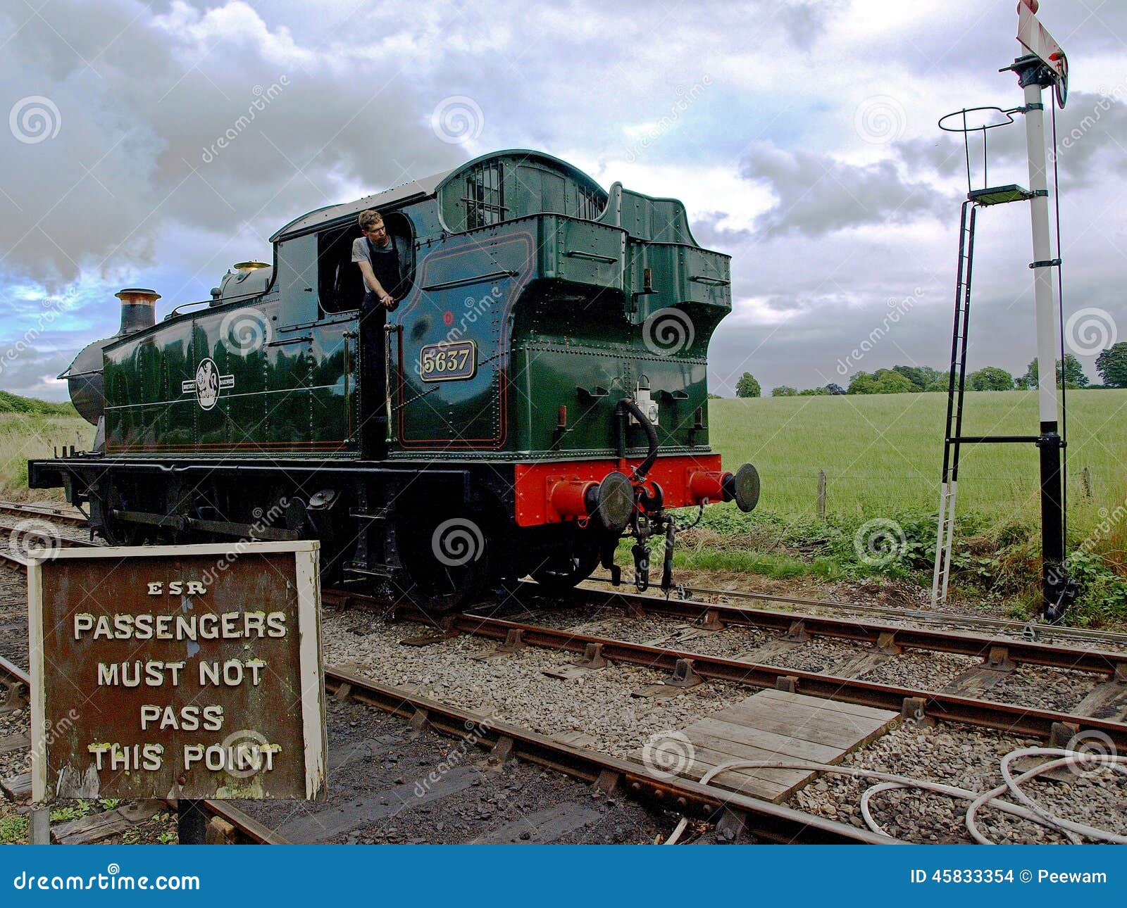 Green GWR Panier Tank Steam Engine and Driver Somerset England ...