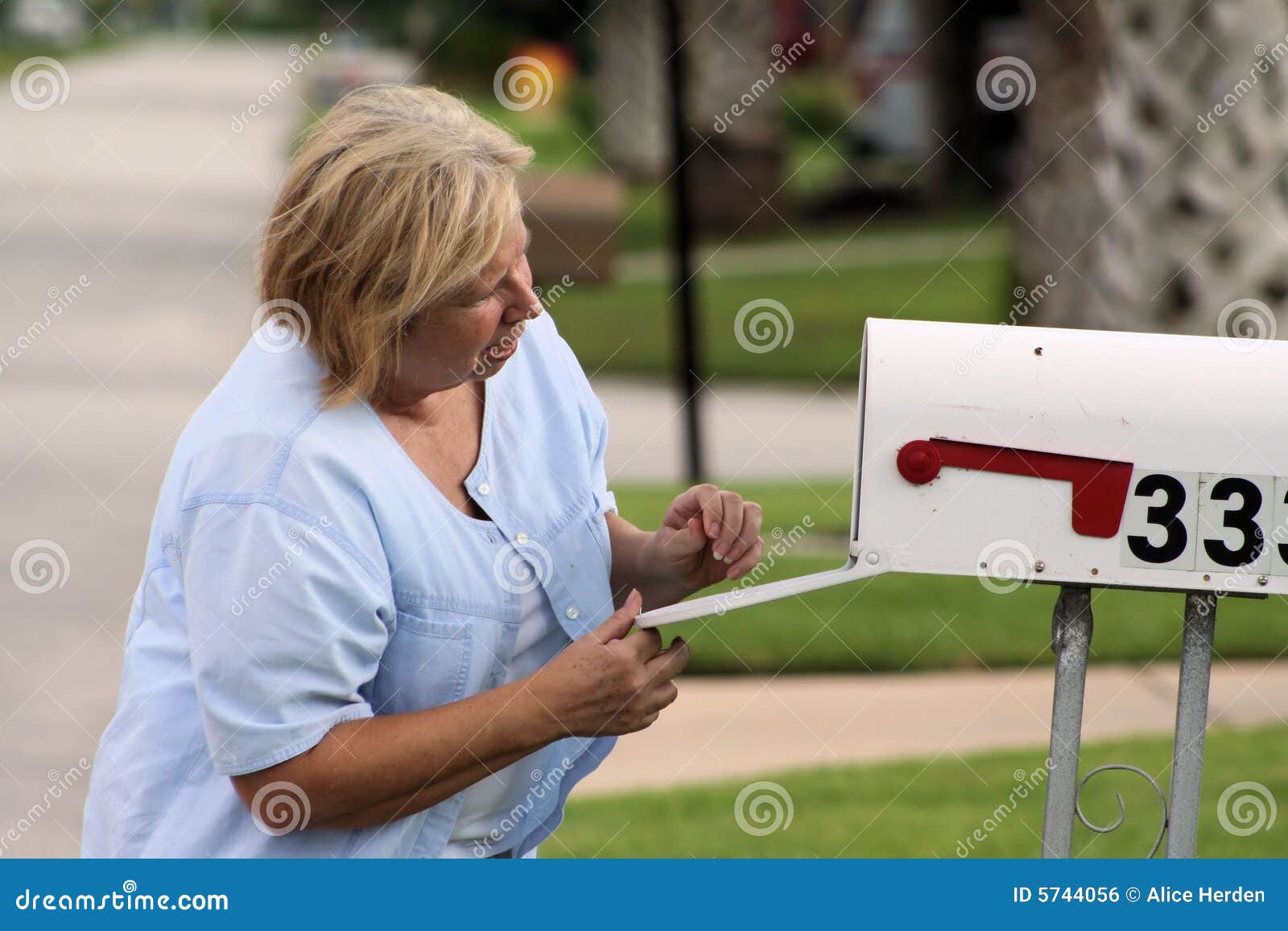 Checking the mail 02 stock photo. Image of bills, address - 5744056