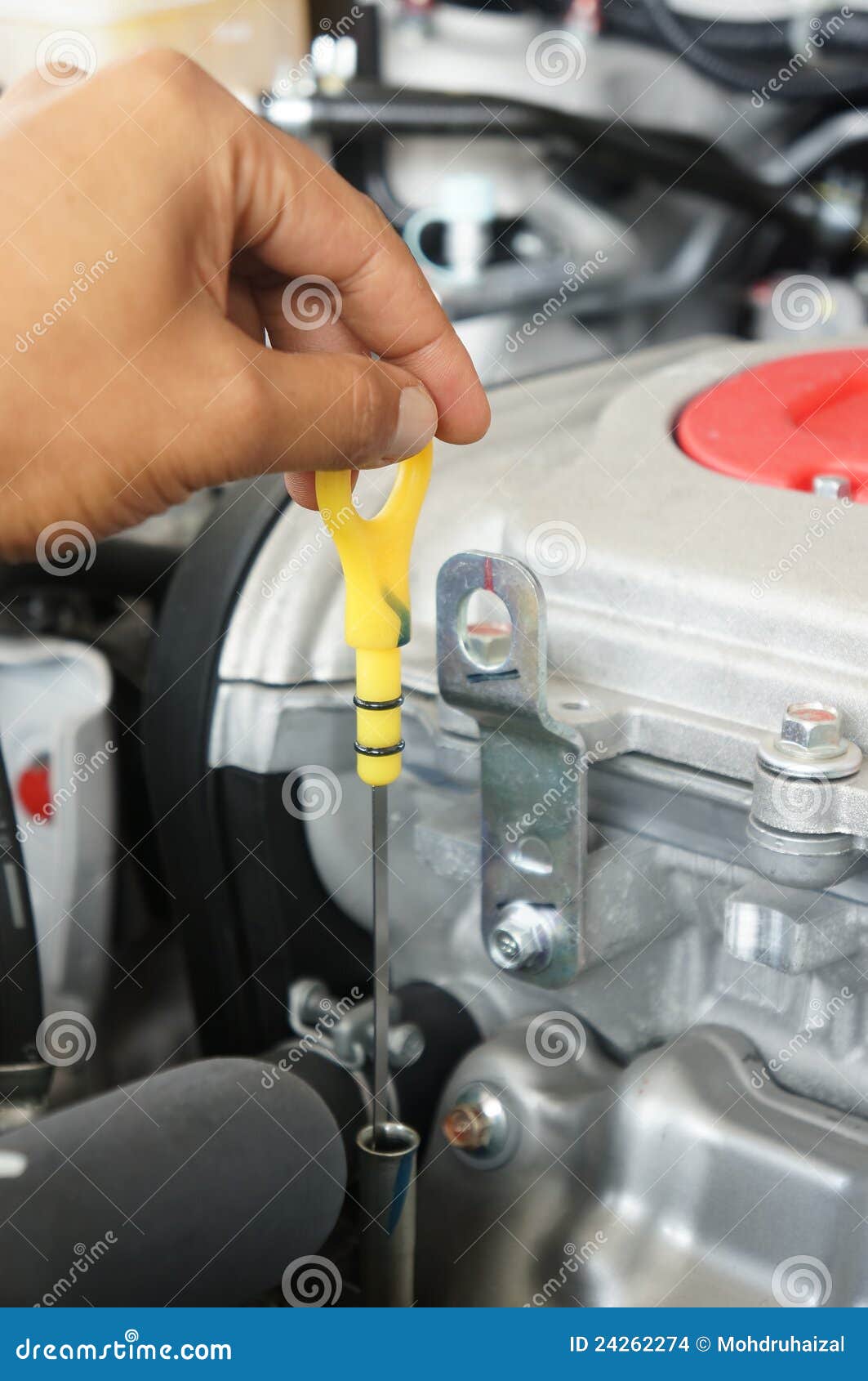 Checking oil stock photo. Image of person, safety, repairing - 24262274