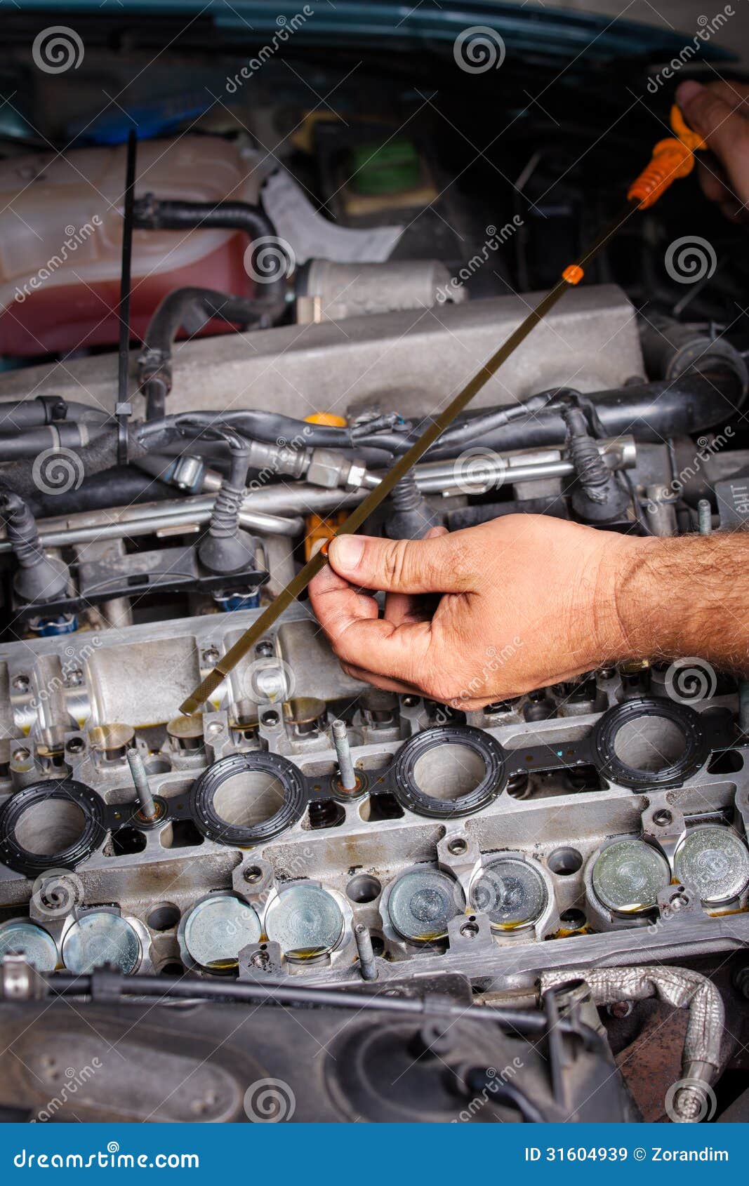 Checking the Oil stock image. Image of mechanic, inspecting - 31604939