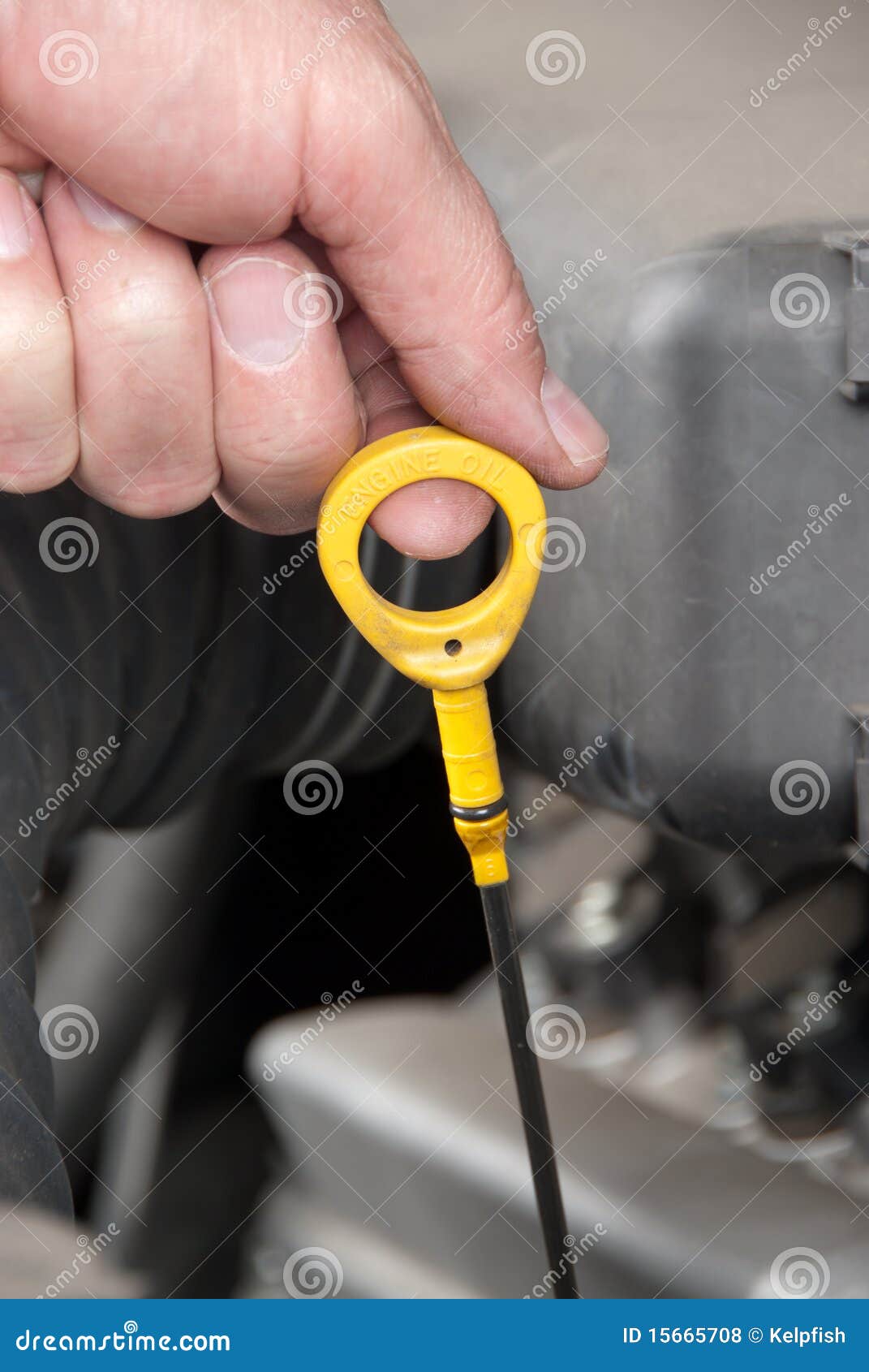 Checking oil dipstick stock photo. Image of gauge, vehicle - 15665708