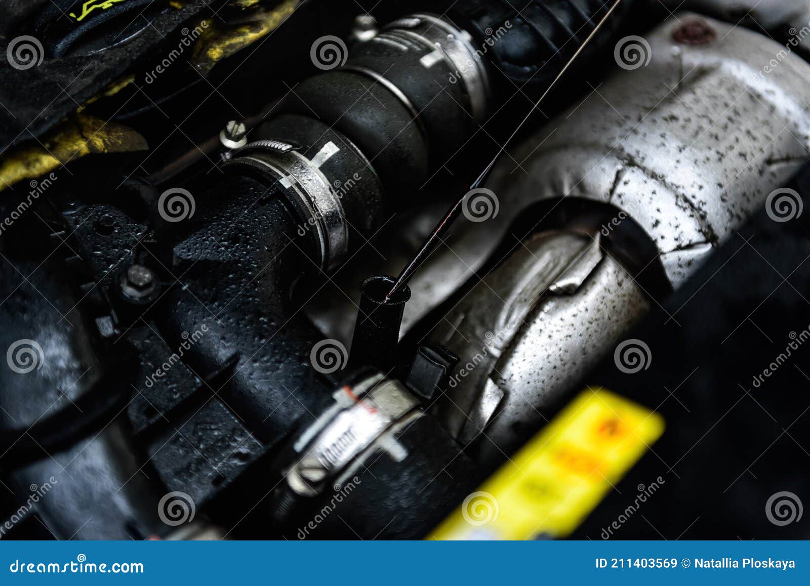 Checking Oil Level in a Engine Stock Image - Image of transport ...