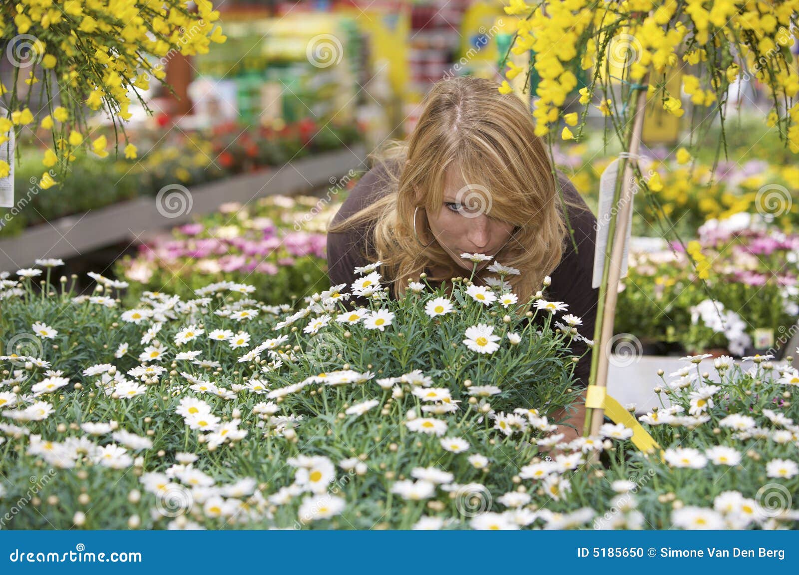 Checking out the plants stock photo. Image of caucasian - 5185650